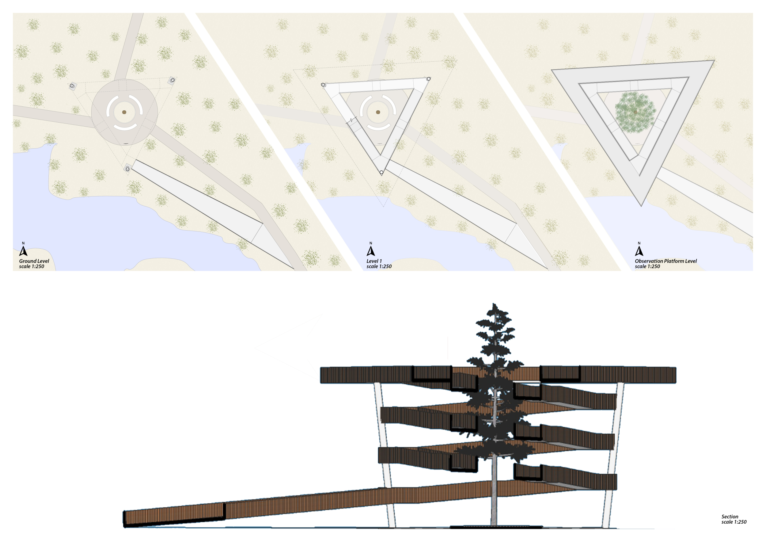 Architecture project // Triangular Observation Tower Embracing Pine and ...