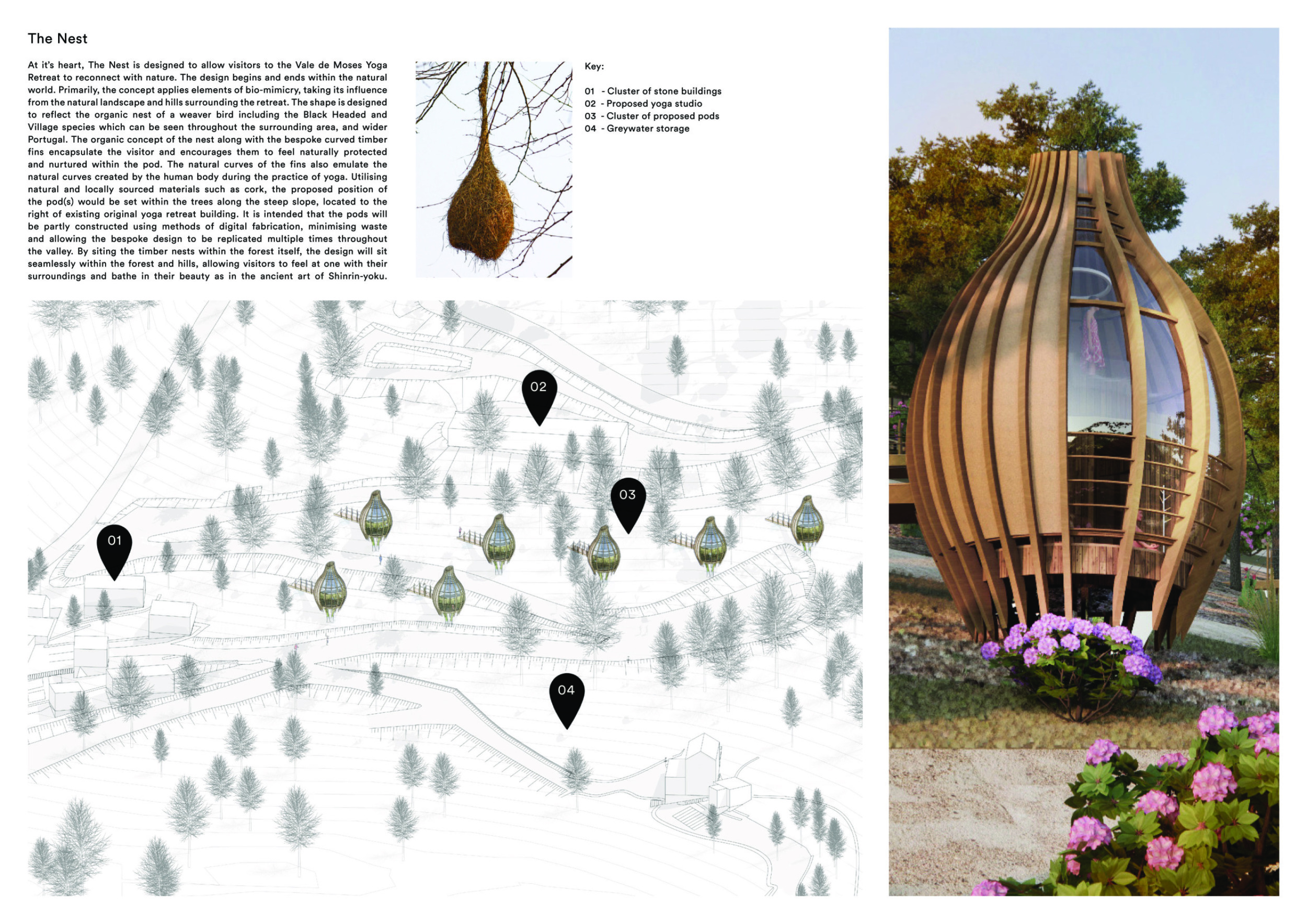 Architecture project // Curved Timber Fins and Cork Embrace in a Nature ...