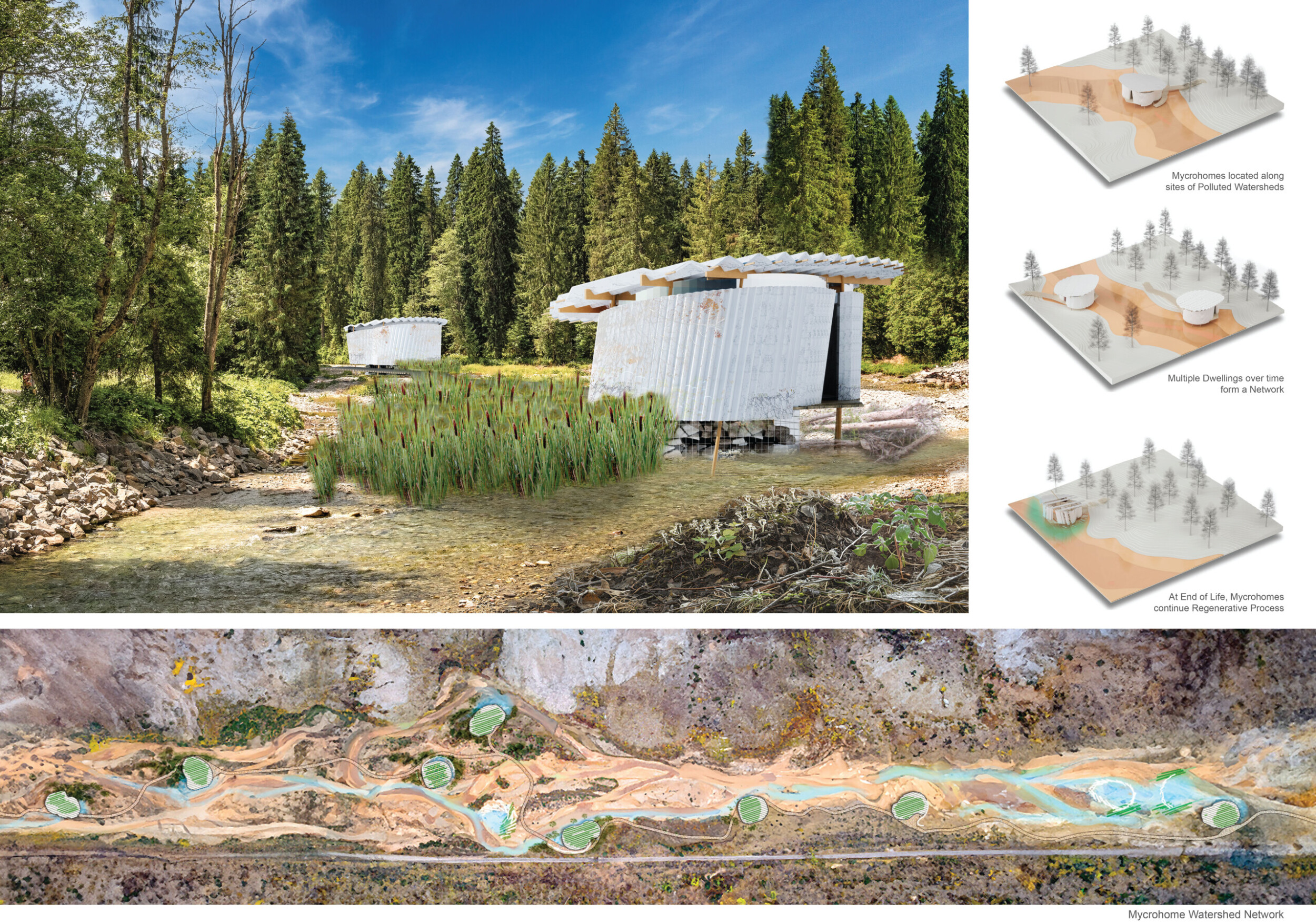 Architecture project // Mycelium Structures Integrating Forest ...