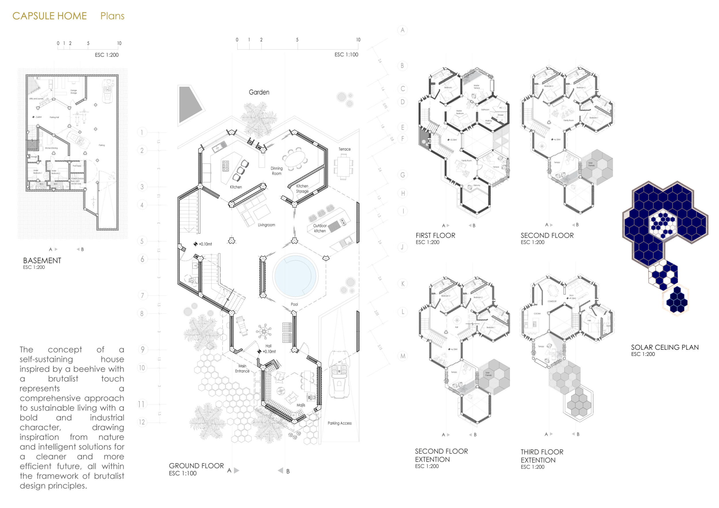 Architecture project // Hexagonal Modules with Natural Stone Accents ...
