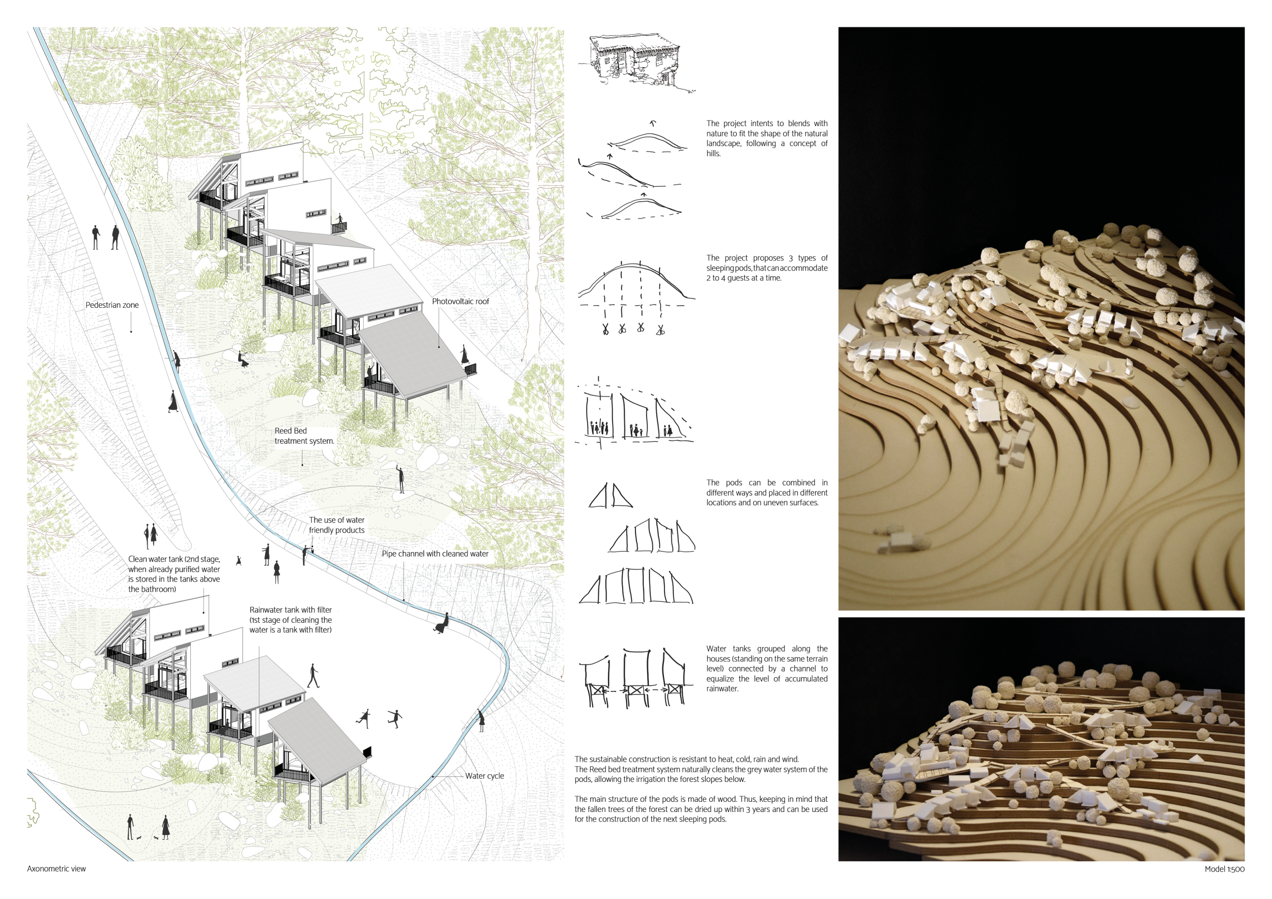 Architecture project // Timber Pods with Reed Bed System for ...