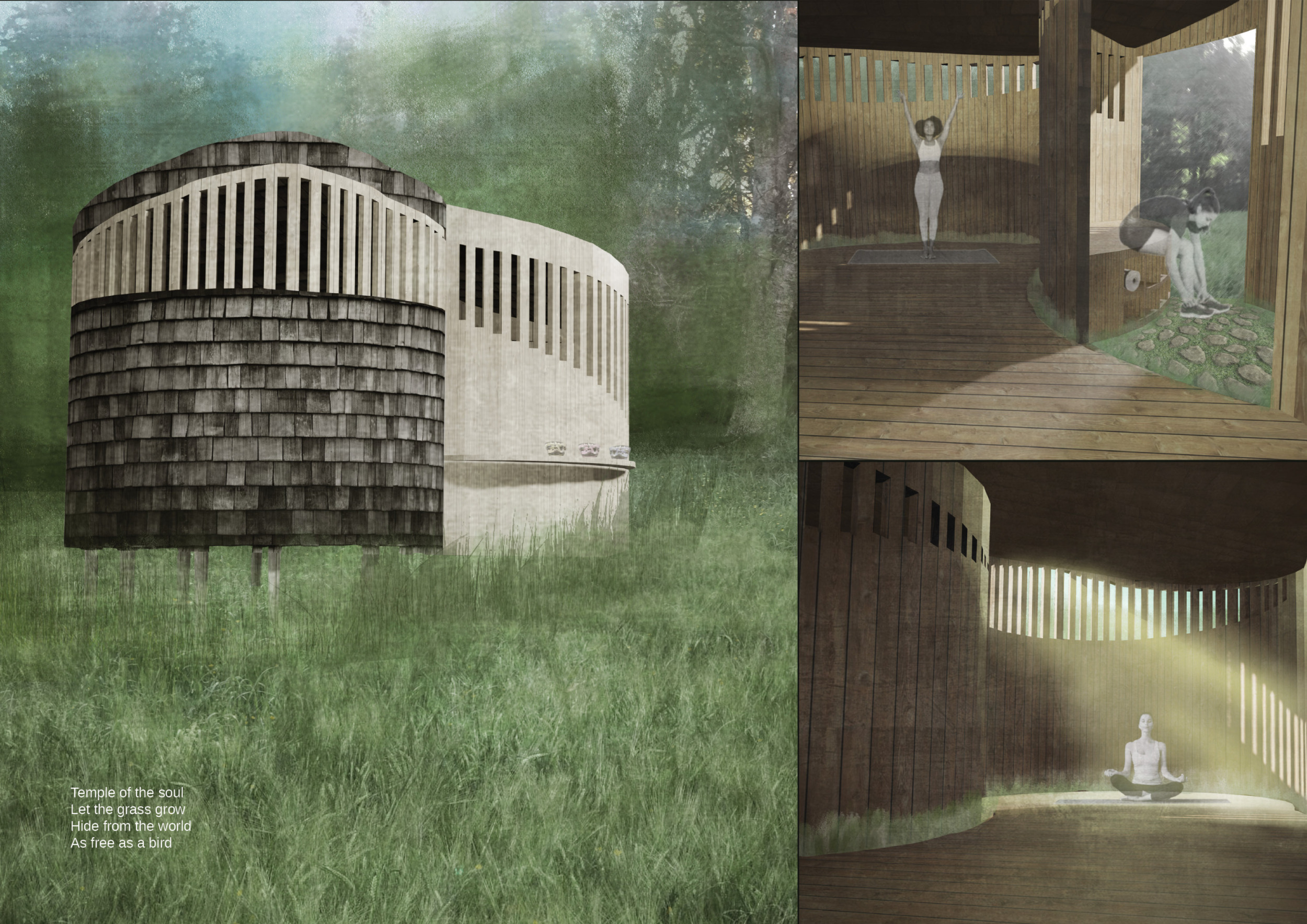Architecture project // Grass Integration and Sunlight Altar in a ...