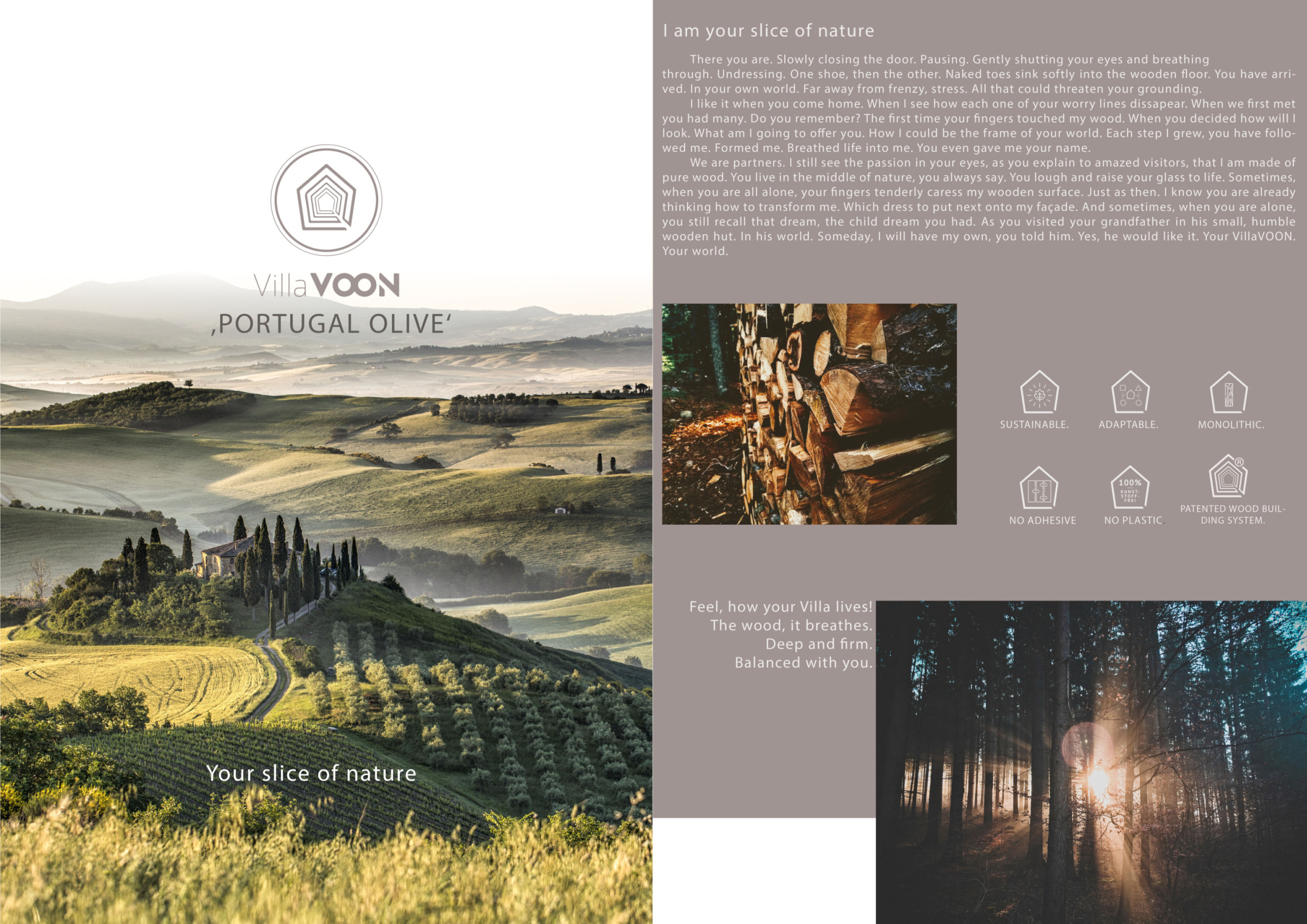 Architecture project // Timber Retreat Embracing Olive Trees with No ...