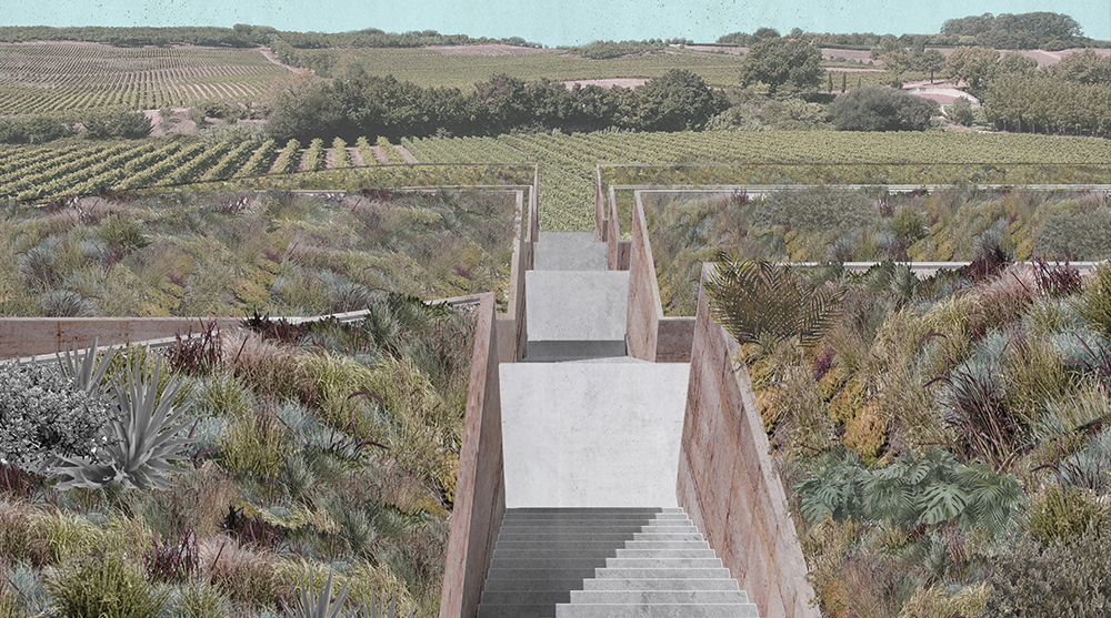 Architecture Competition Monte D'Oiro Wine Hotel Honorable mention ...