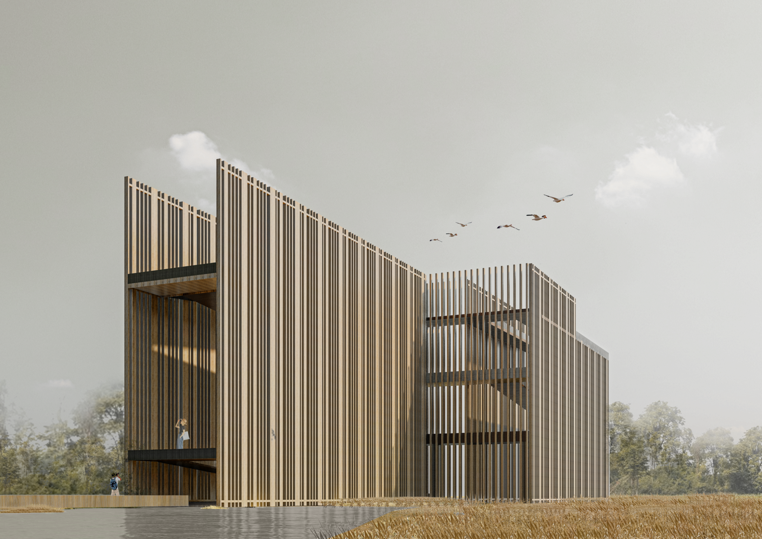 Architecture project // Charred Wooden Facade Enhances Vertical ...