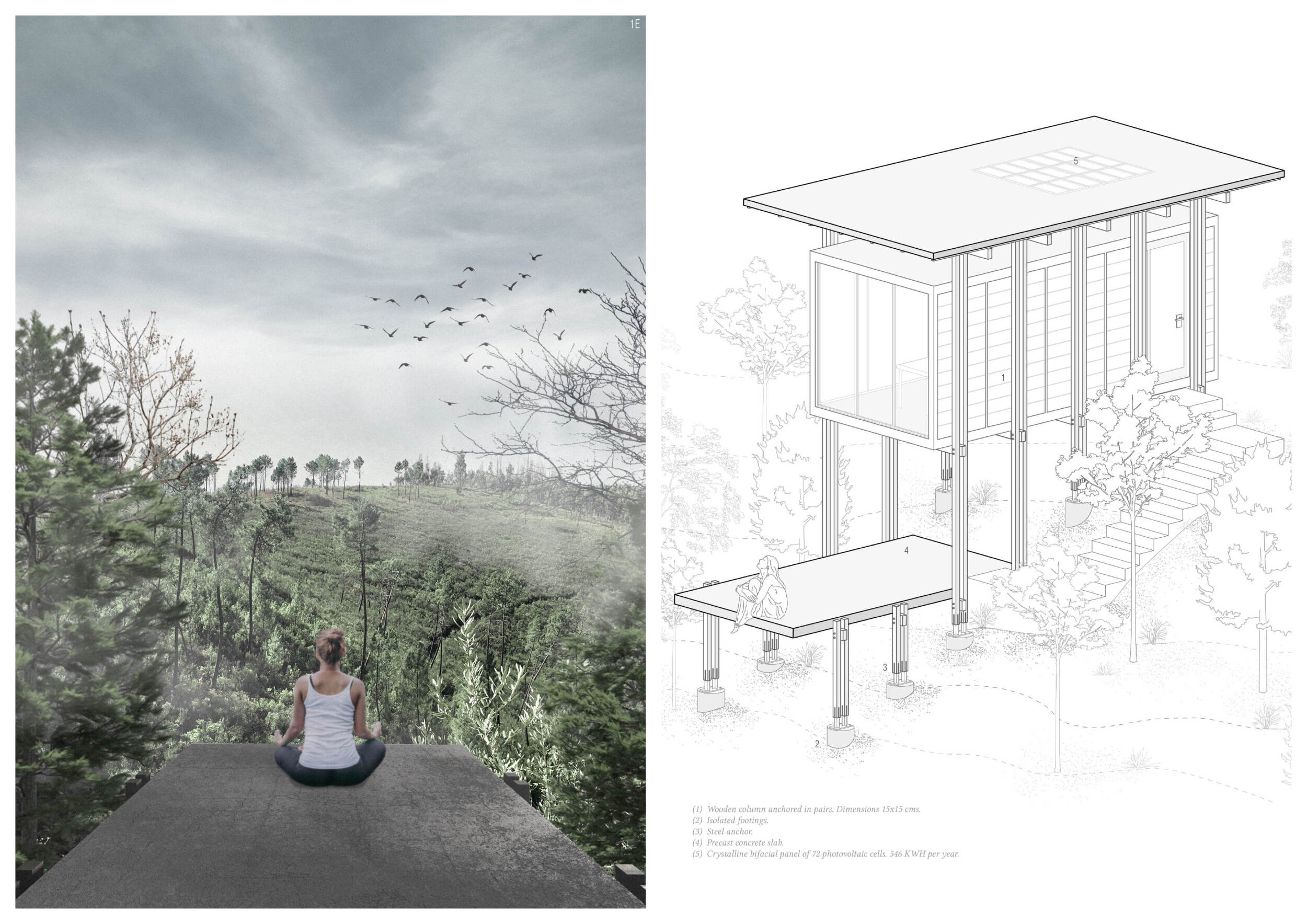 Architecture project // Terraces of Wood and Greenery for Reflective Nature Retreat