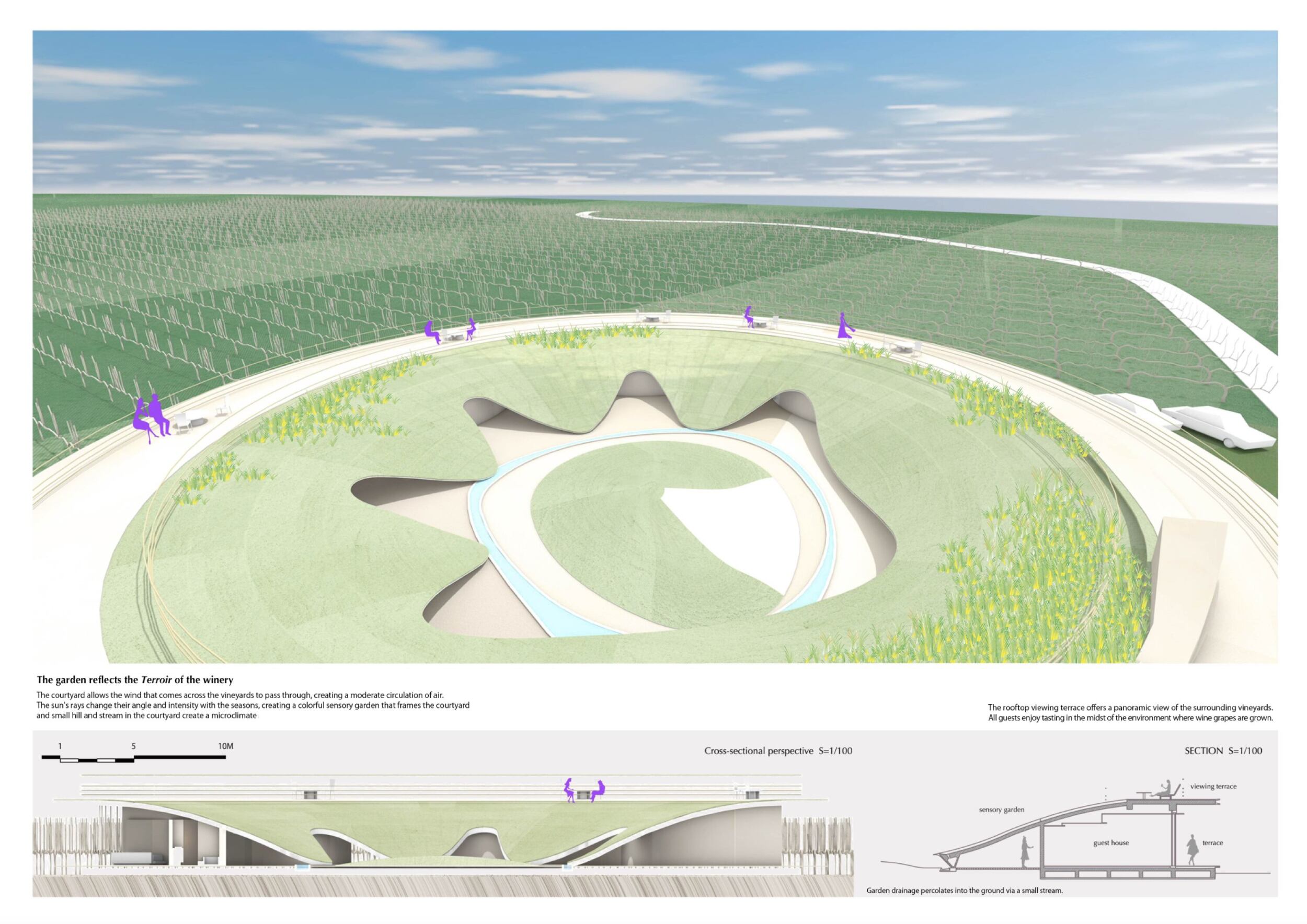 Architecture project // Rooftop Terrace Overlooking Vineyards with ...