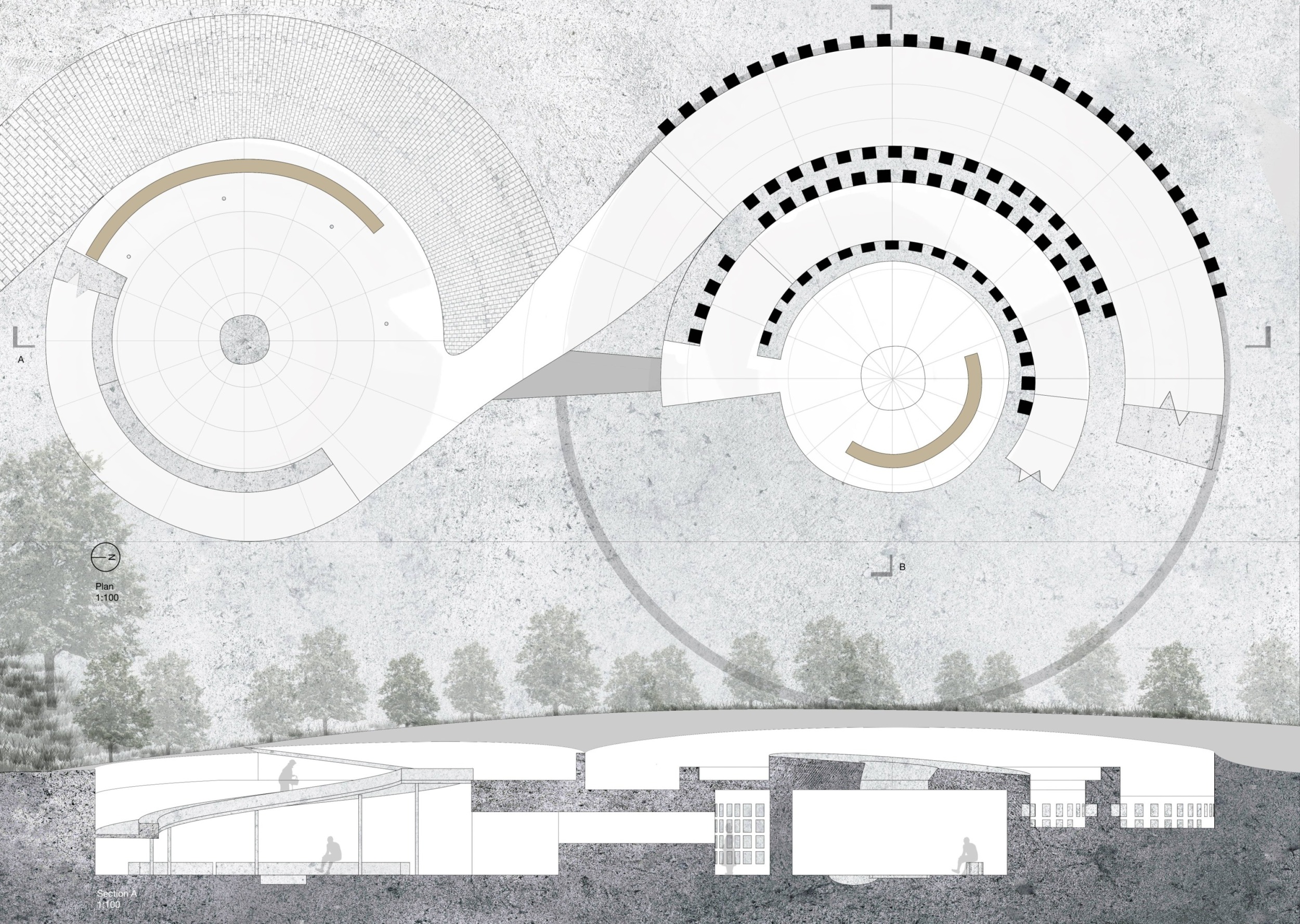 Architecture project // Circles of Reflection and Balance in an ...
