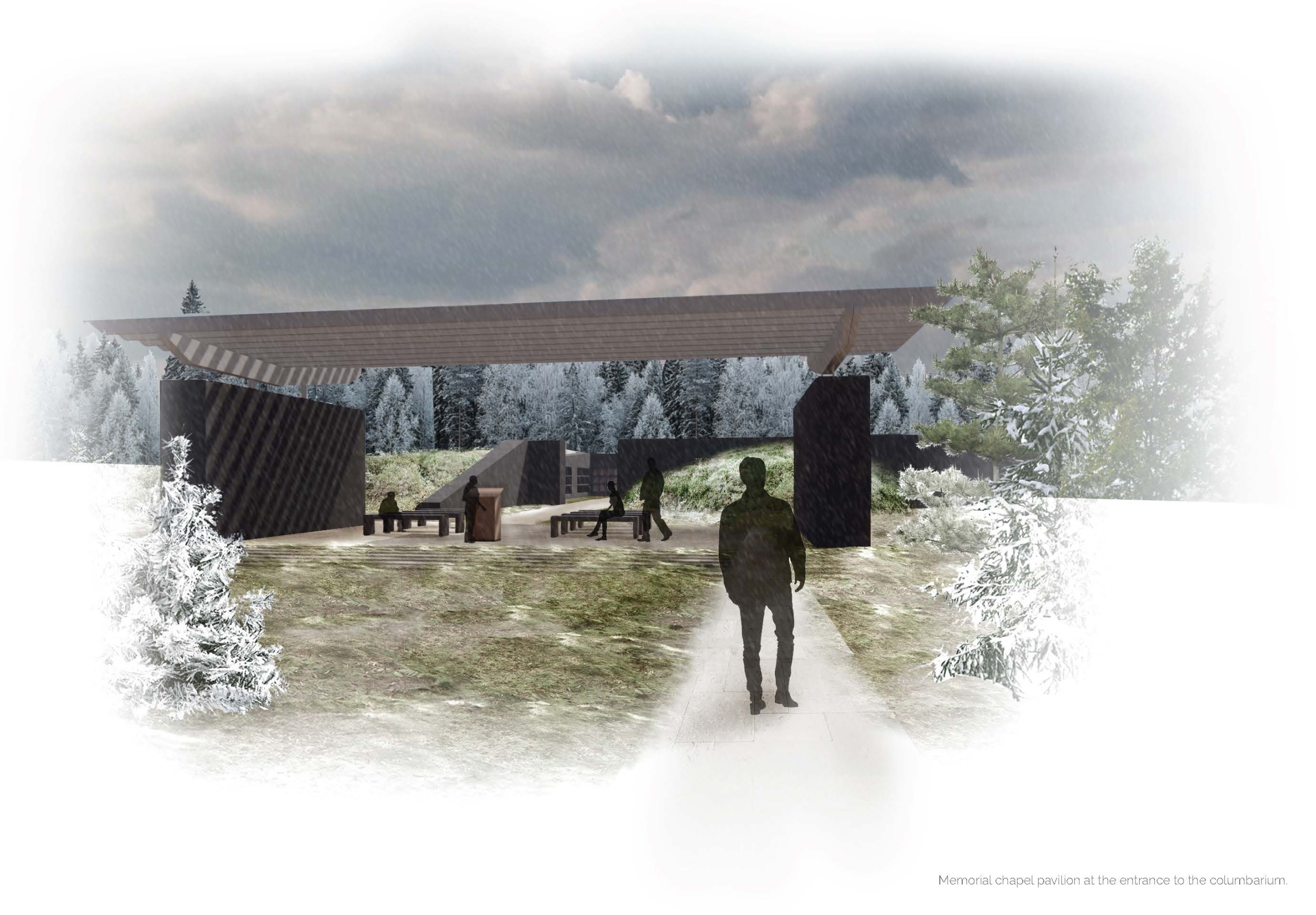 Architecture project // Birch Tree-Centric Design with Organic ...