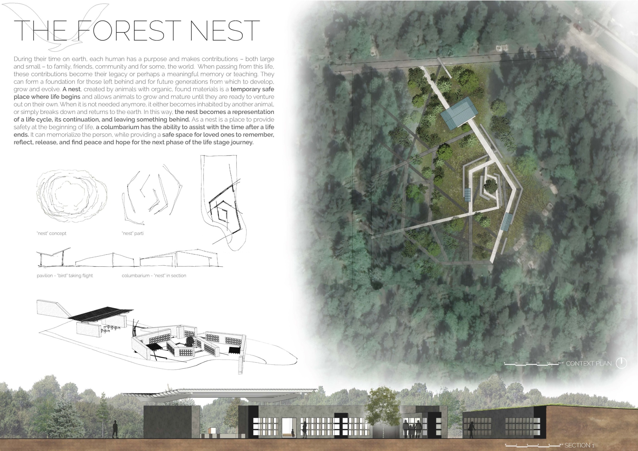 Architecture project // Birch Tree-Centric Design with Organic ...
