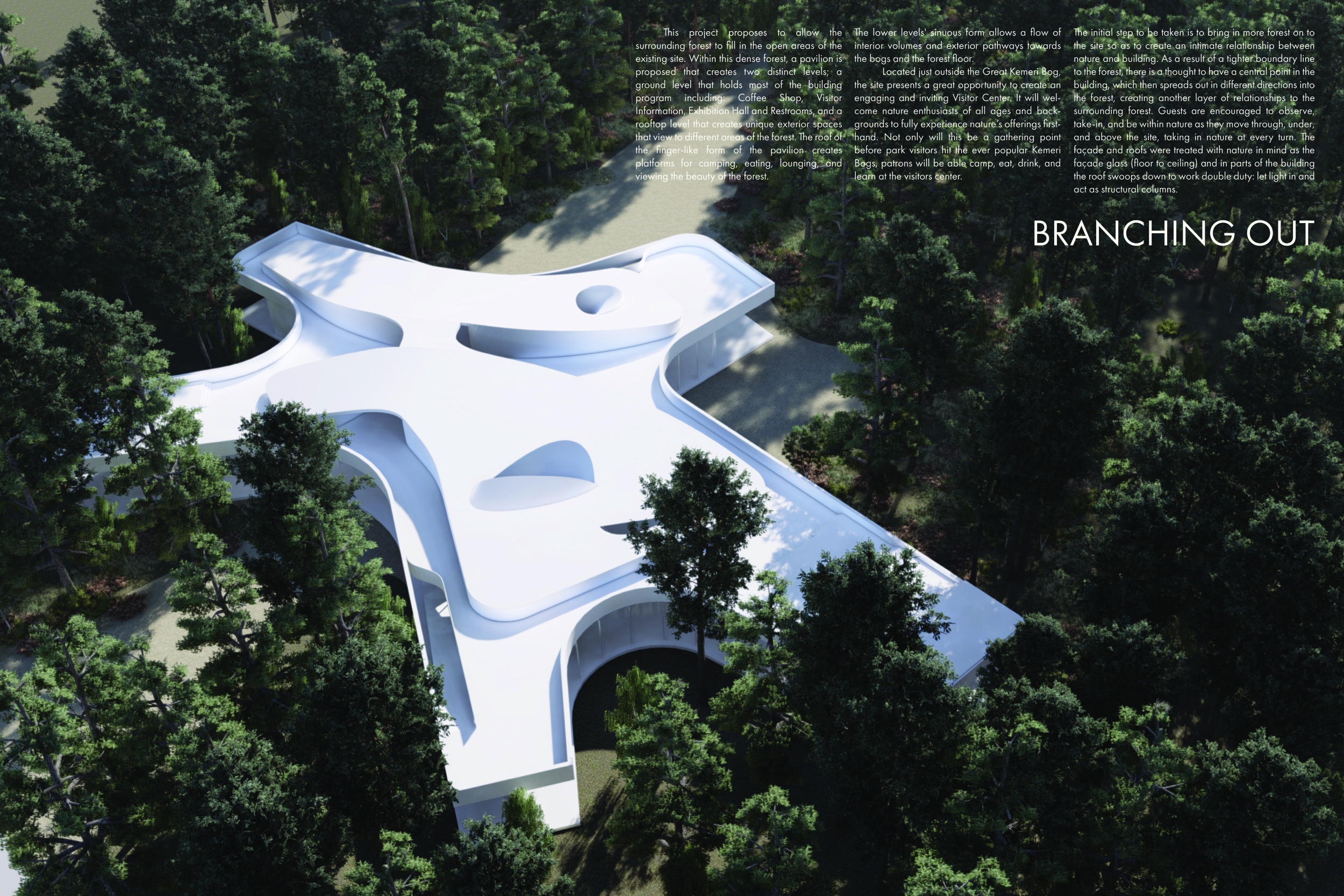 Architecture project // Sinuous Pavilion That Embraces Forest Interactions