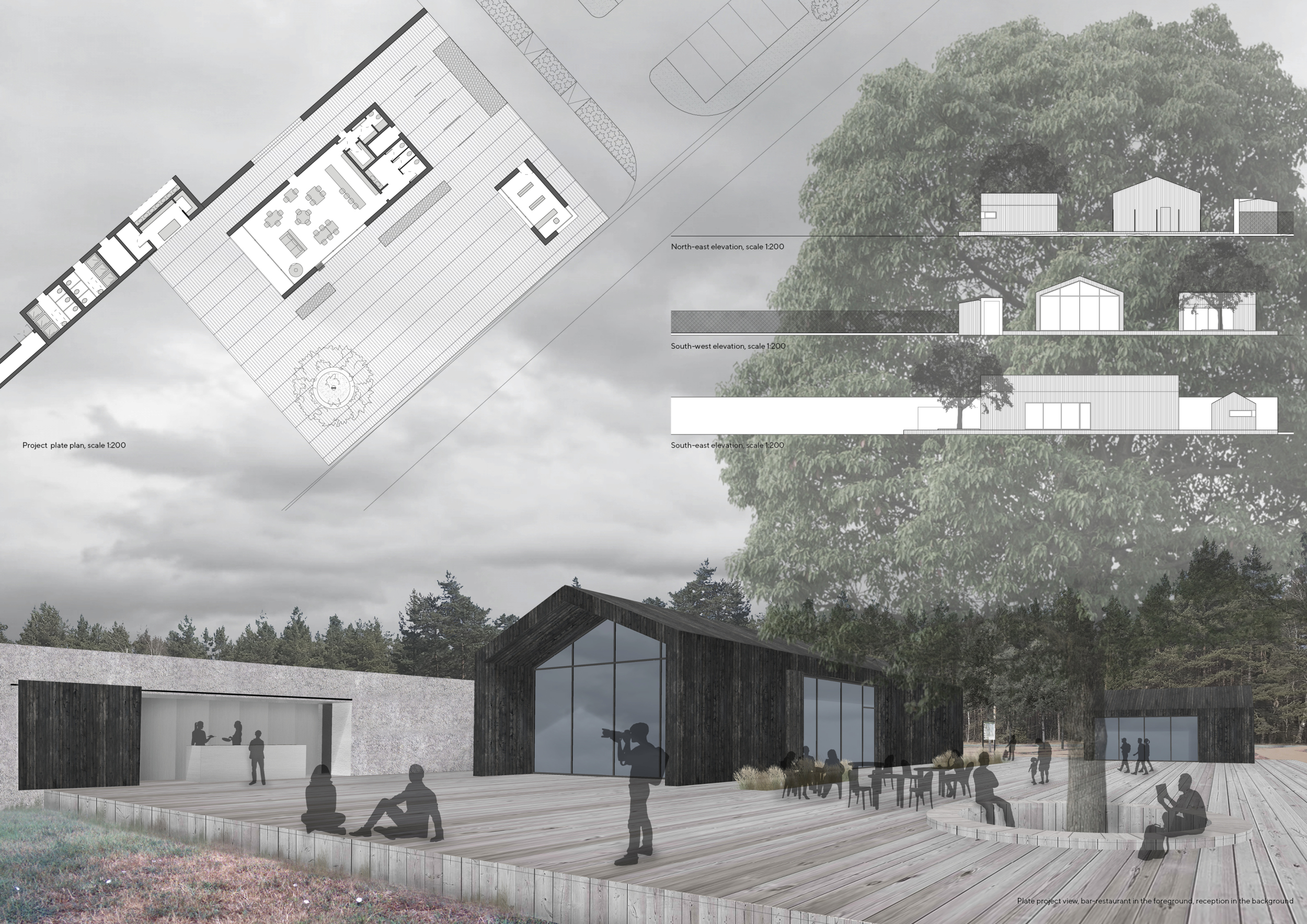 Architecture project // Wooden Structures Integrating Green Spaces in ...