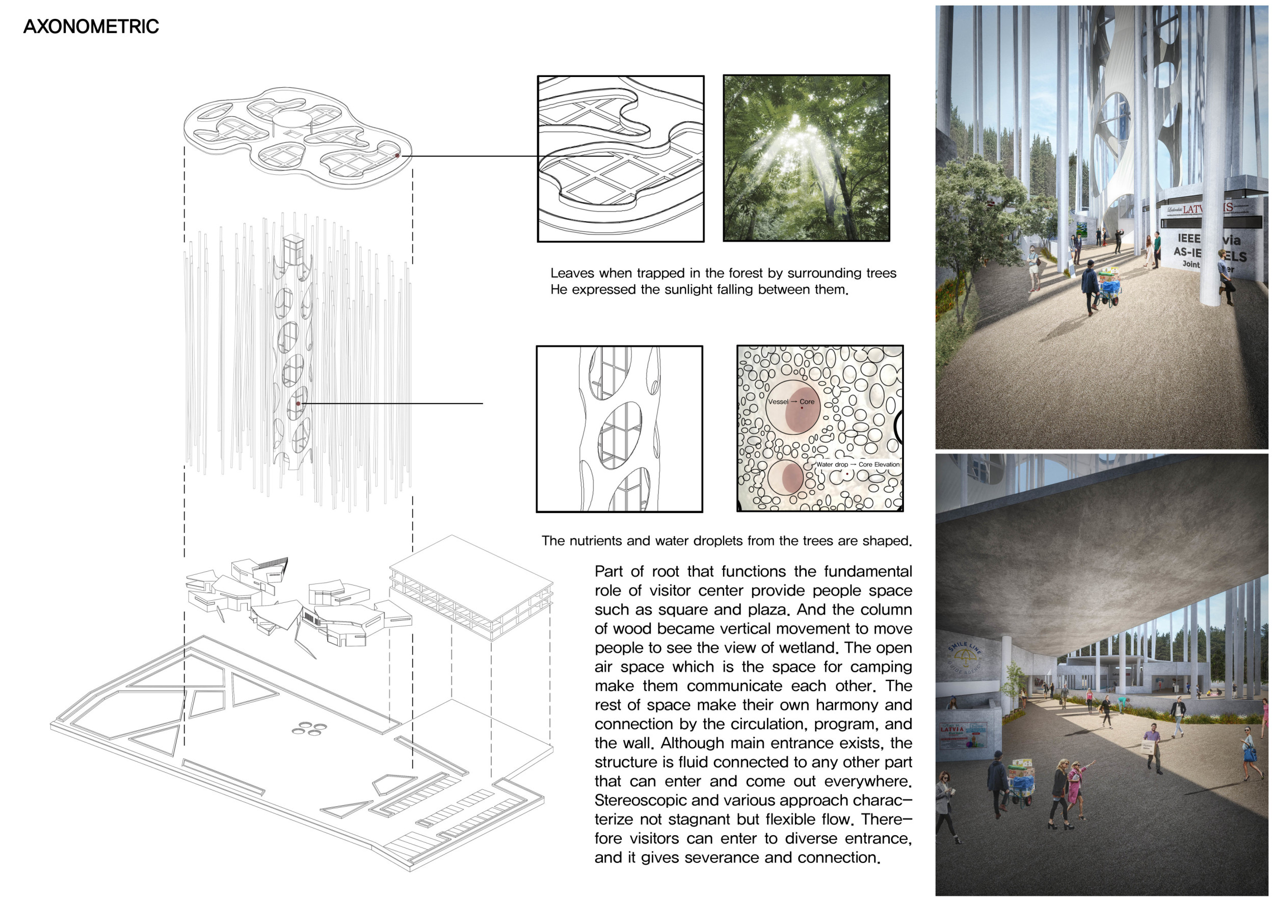 Architecture projects - tree stump // Buildner
