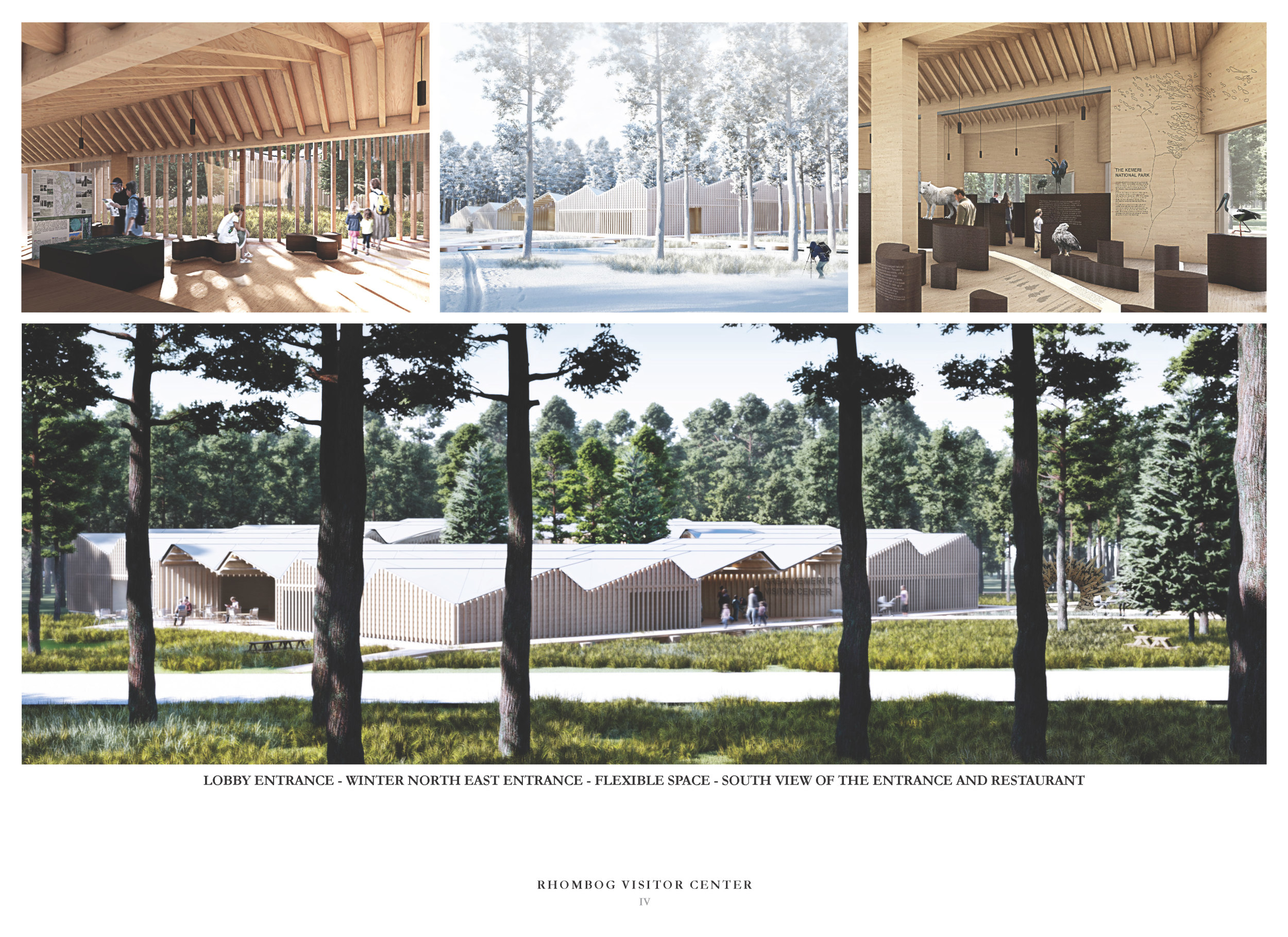 Architecture project // Embedded Nature with Rainwater Management and ...