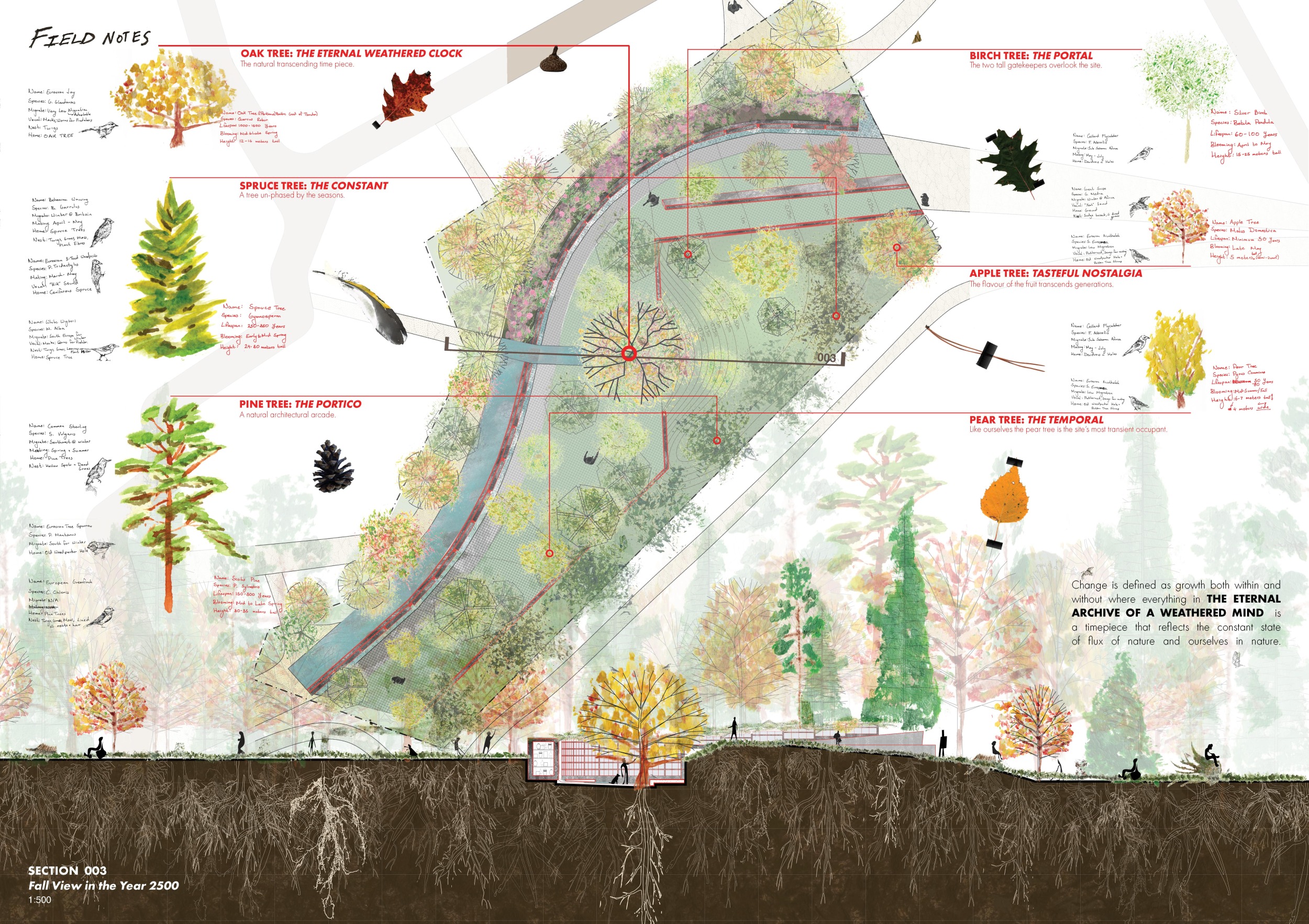 Architecture project // Concrete Reflection of Nature Through Weathered ...