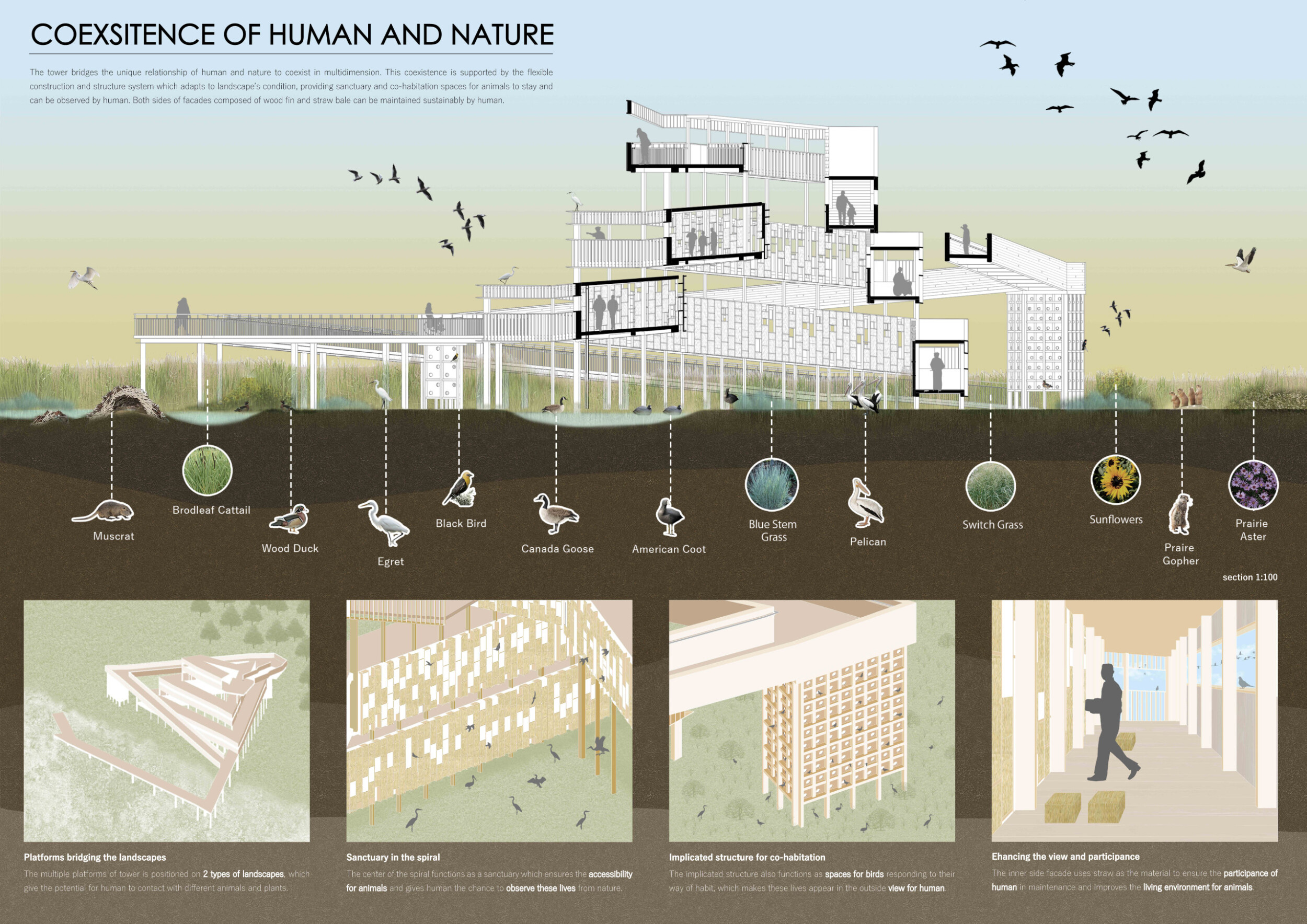 Architecture projects - mangrove // Buildner