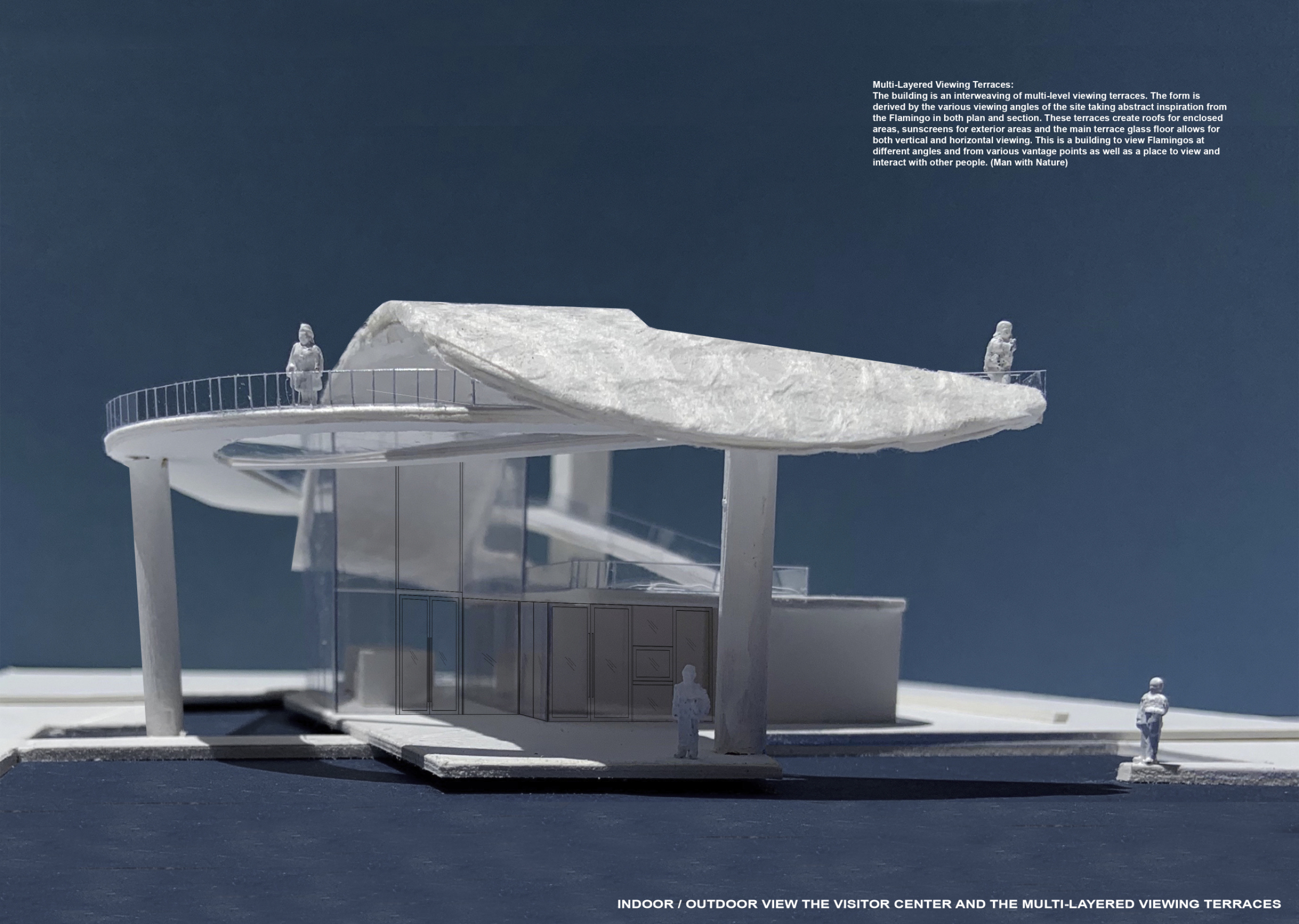 Architecture project // Filigree Roof and Glass Terraces Enhancing ...
