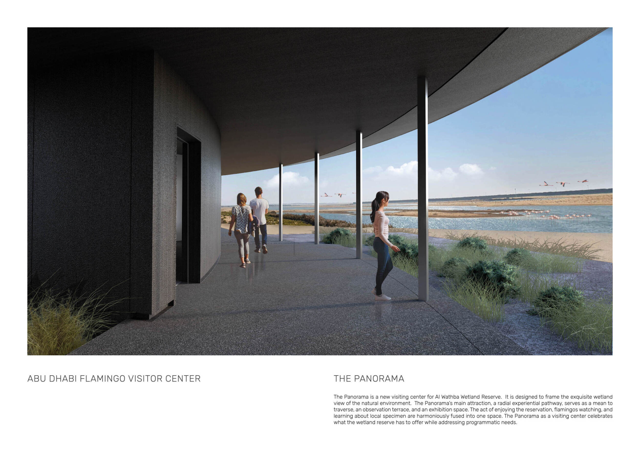 Architecture projects - display windows // Buildner