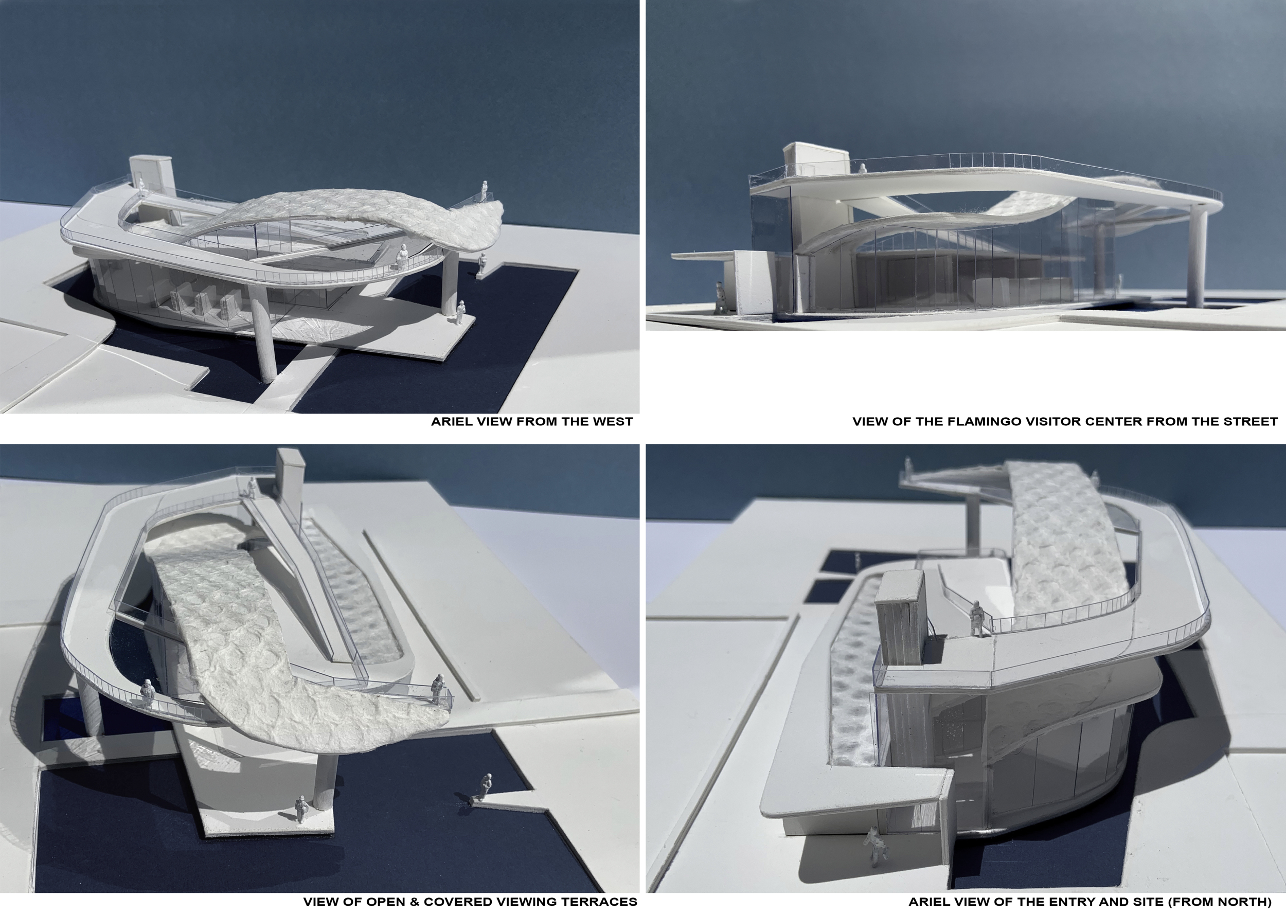 Architecture project // Filigree Roof and Glass Terraces Enhancing ...