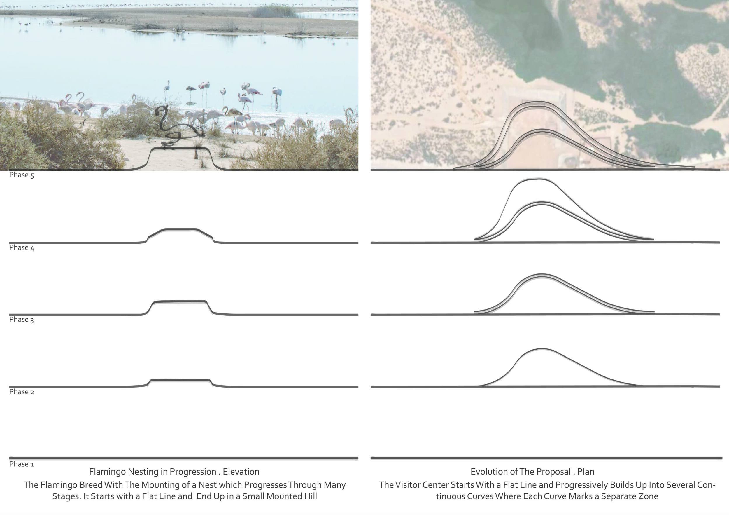 Architecture project // Elevated Platforms Inspired by Flamingo Nesting