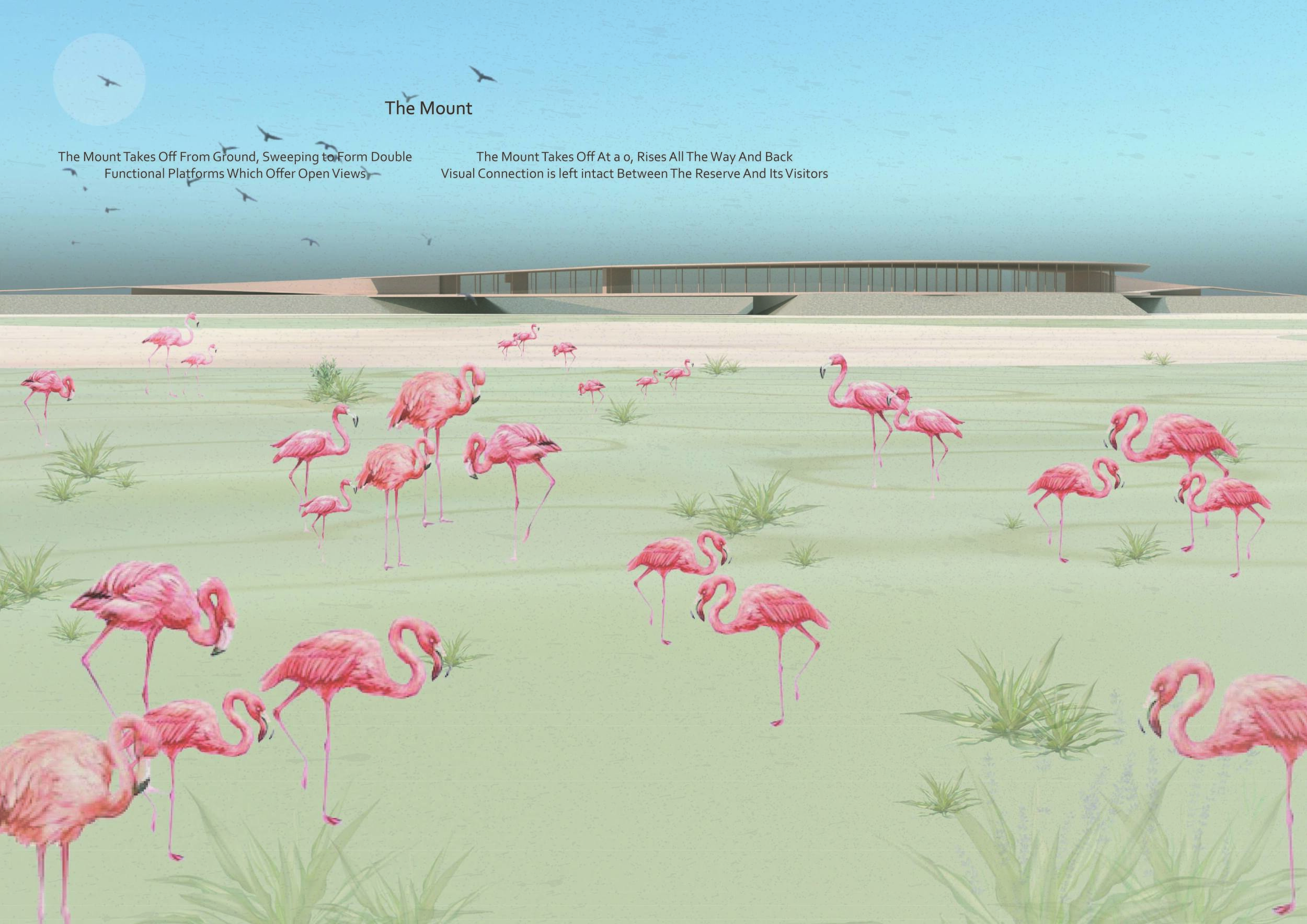 Architecture project // Elevated Platforms Inspired by Flamingo Nesting