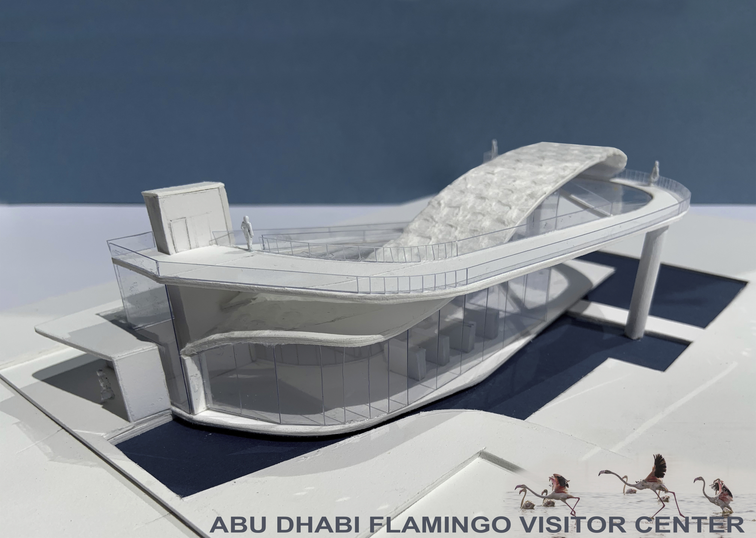 Architecture project // Filigree Roof and Glass Terraces Enhancing ...