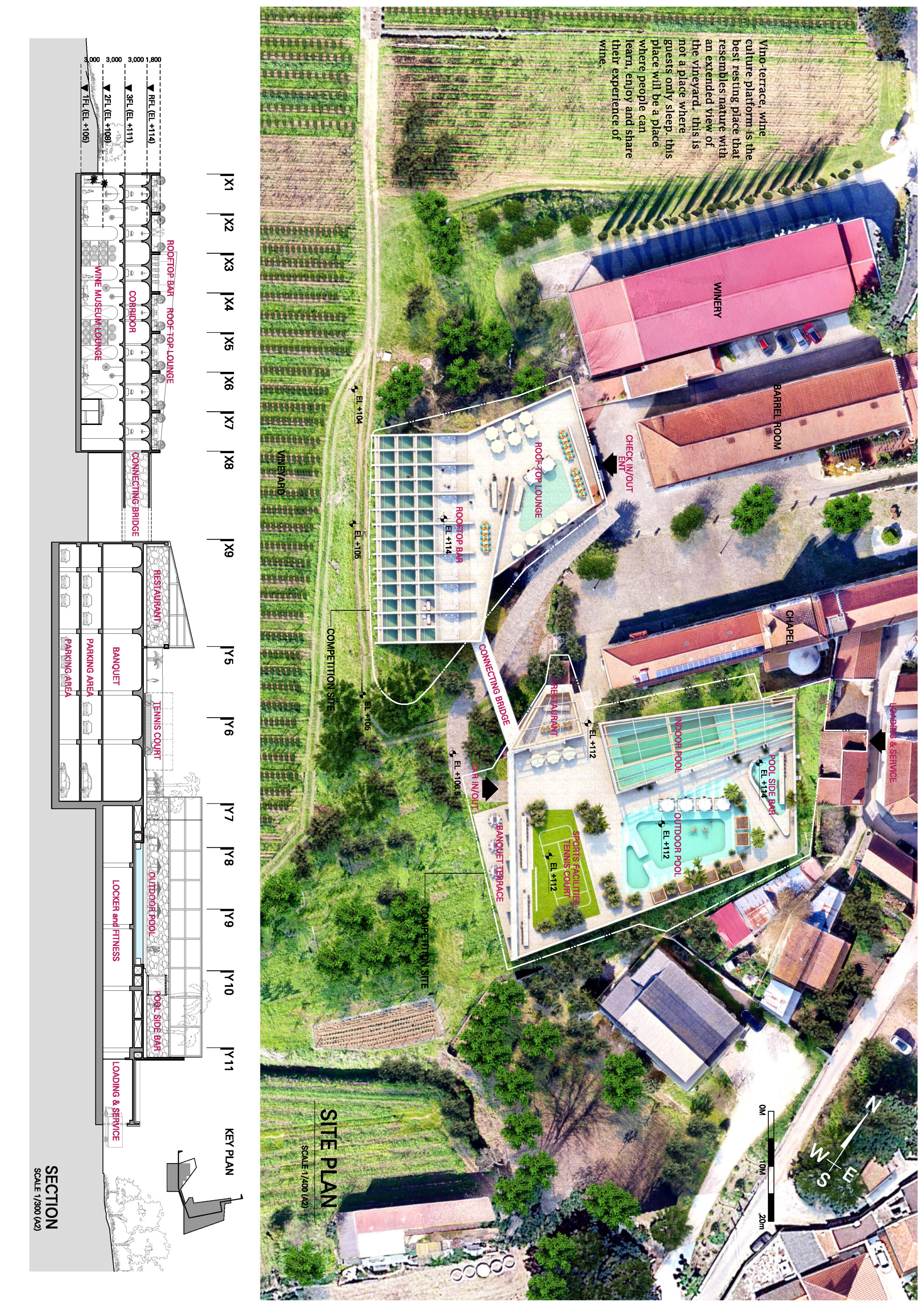 Architecture project // Cascading Structure Overlooking Vines with ...