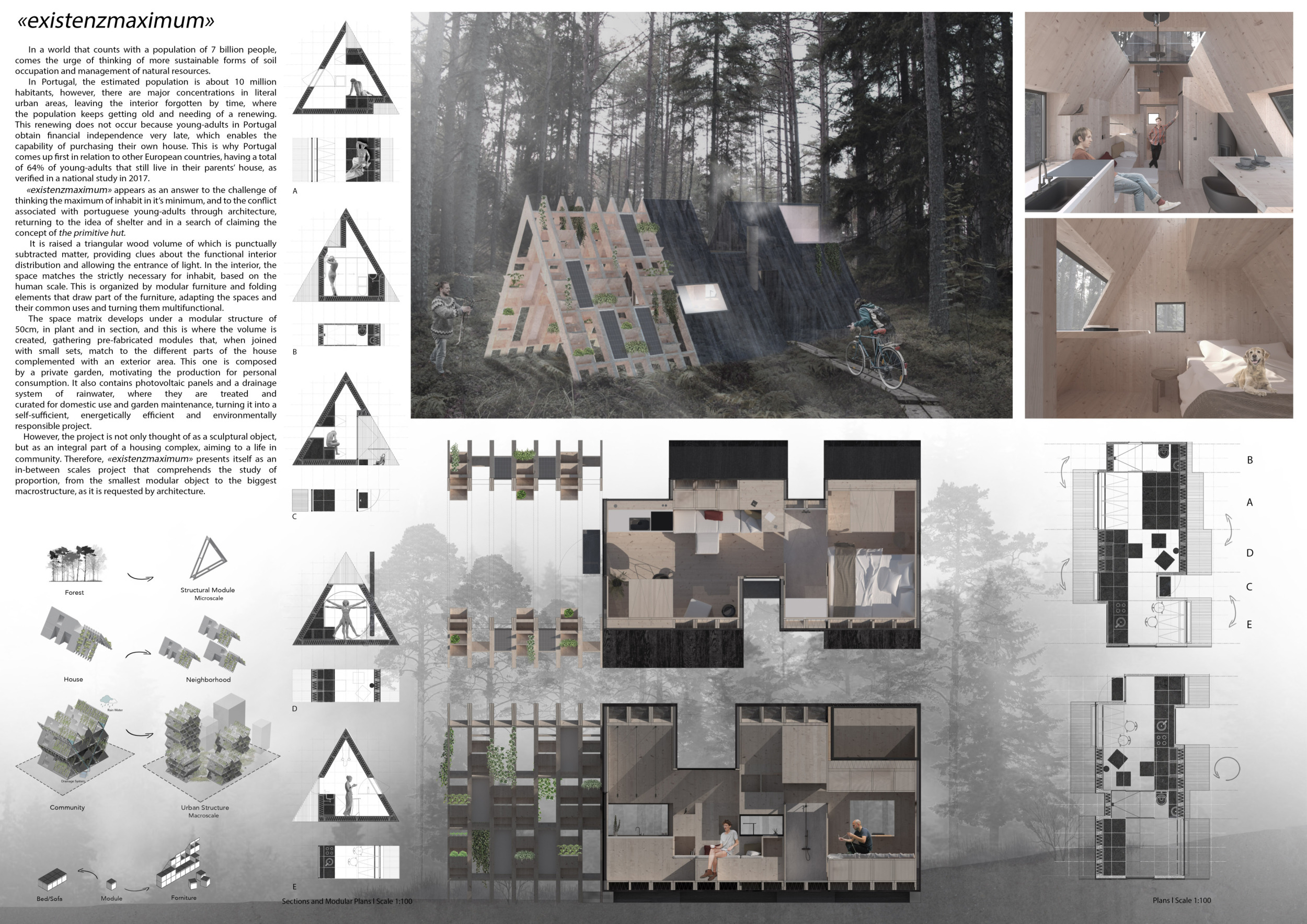 Architecture project // Triangular Wooden Volume with Integrated ...