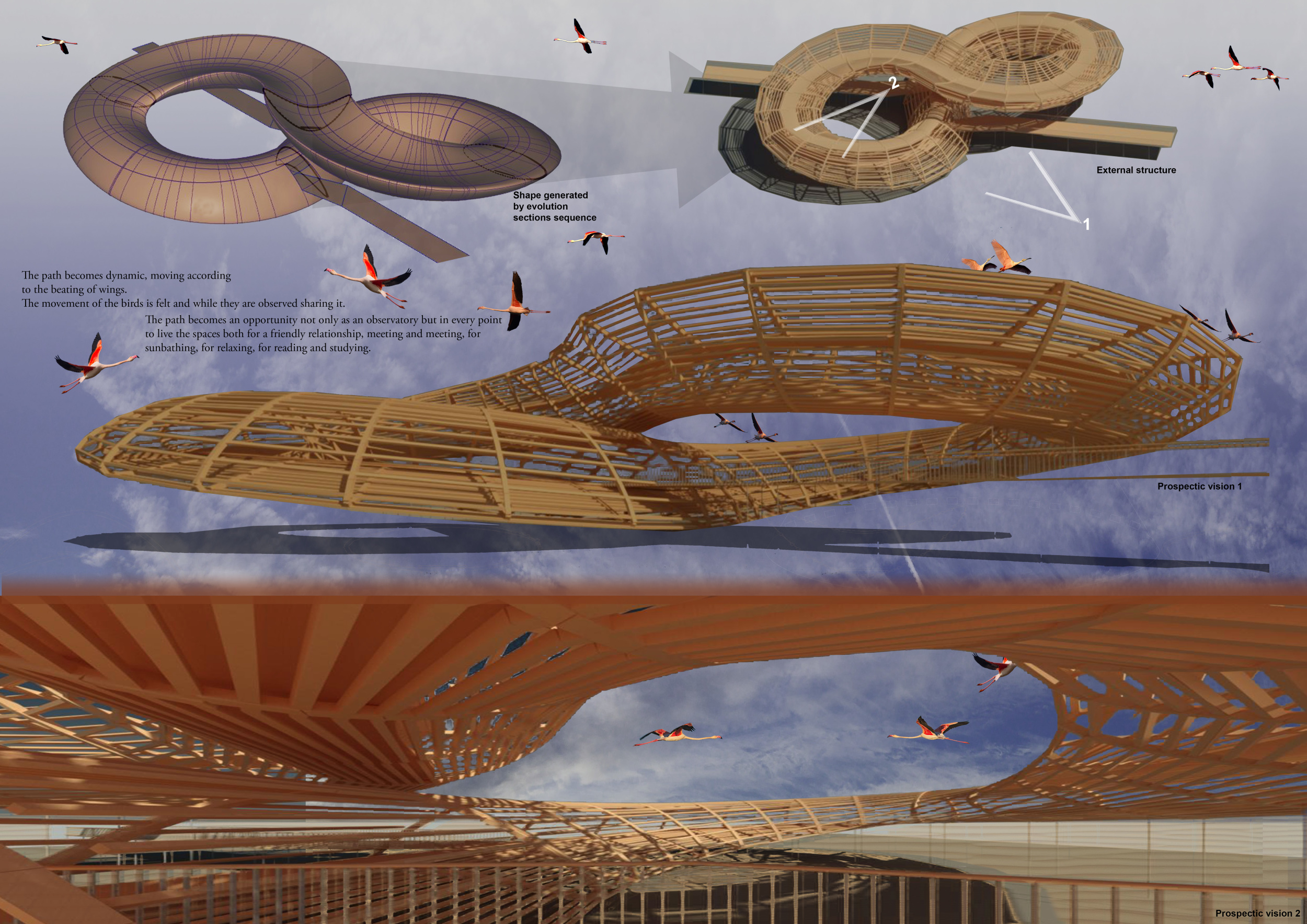 Architecture project // Dynamic Pathway Integrating Bird Observation ...