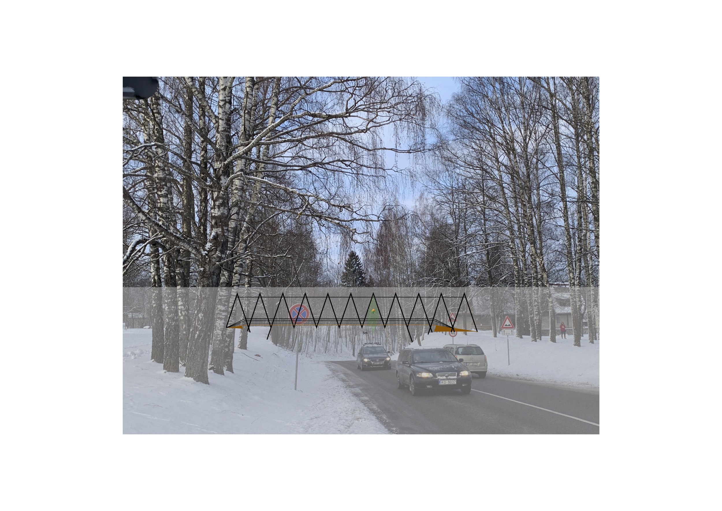 Architecture project // Hollow Trees and Decay Habitats in a Forested ...
