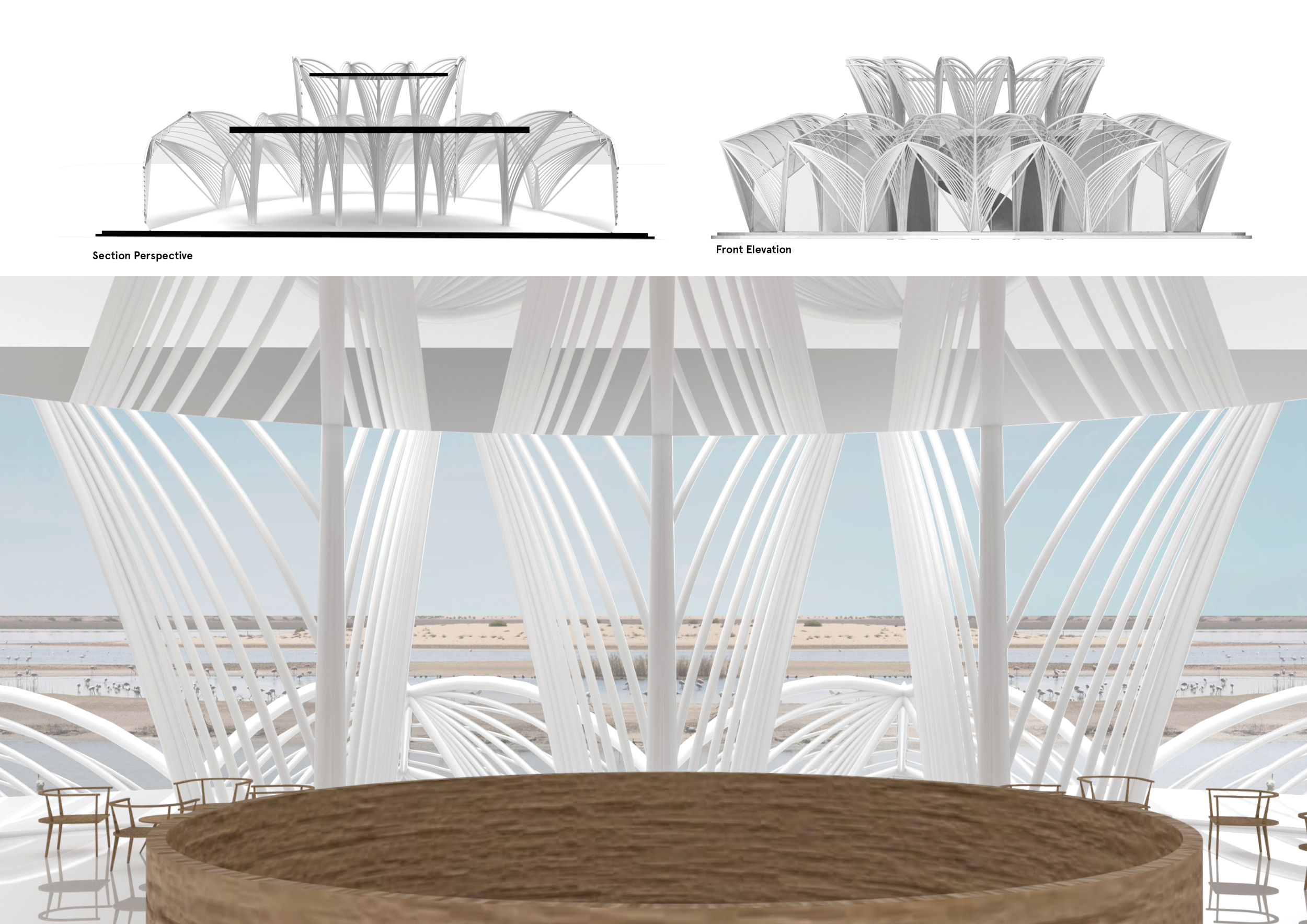 Architecture project // Winged Structure with Etfe Canopy Overlooking ...
