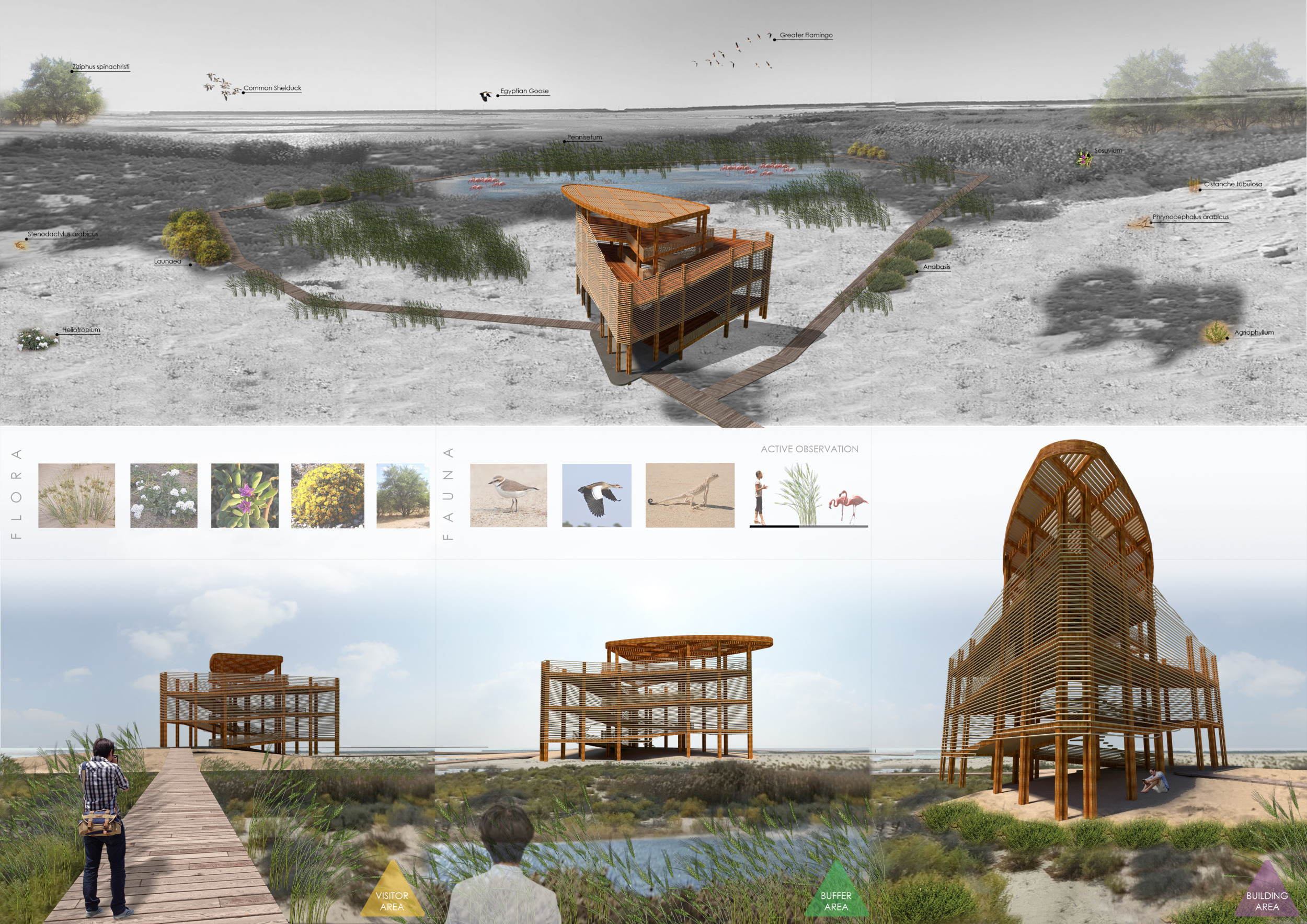 Architecture project // Timber Platforms Suspended in a Natural ...