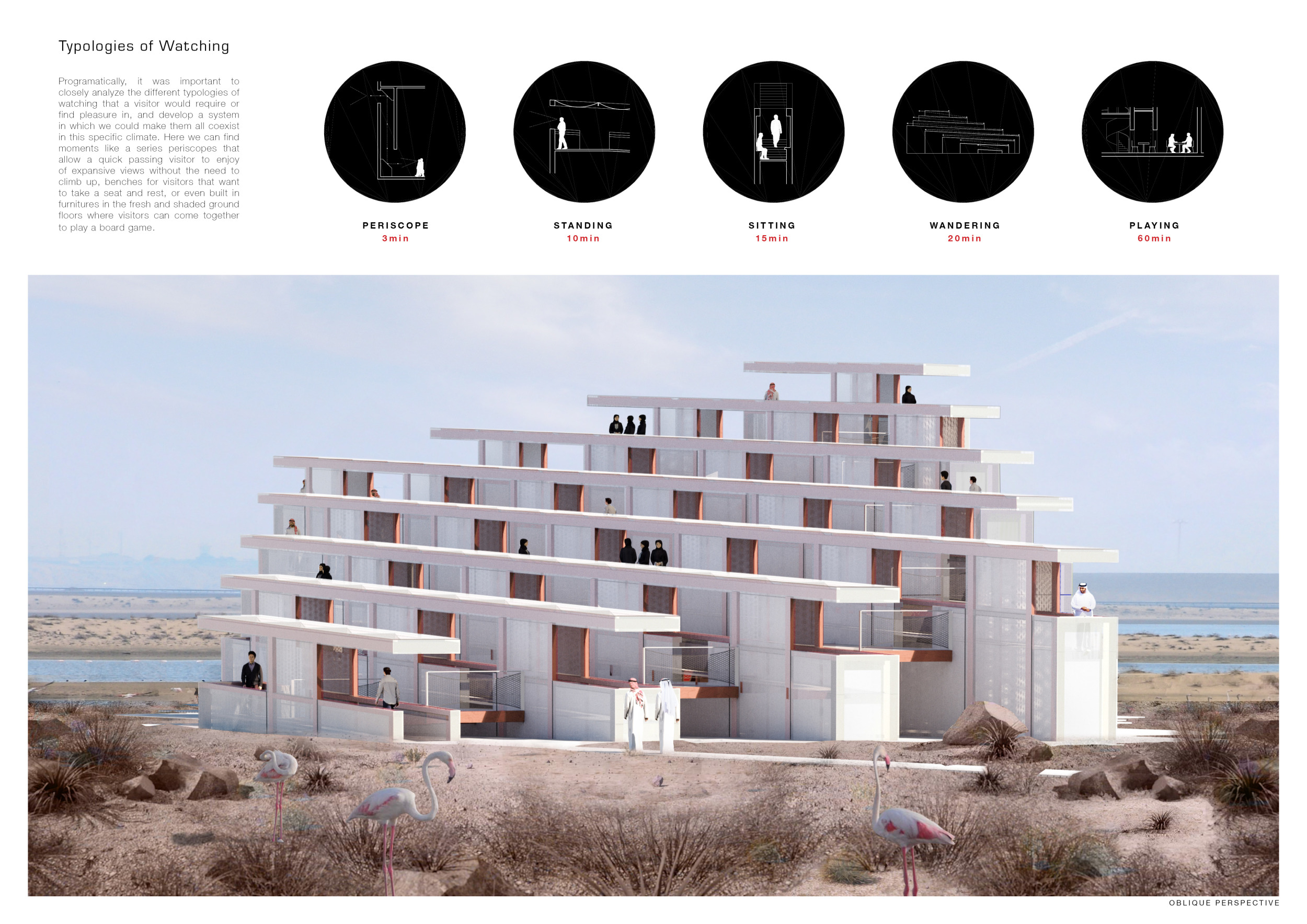 Architecture project // Perforated Metal Screens and Natural Wood Ramps ...