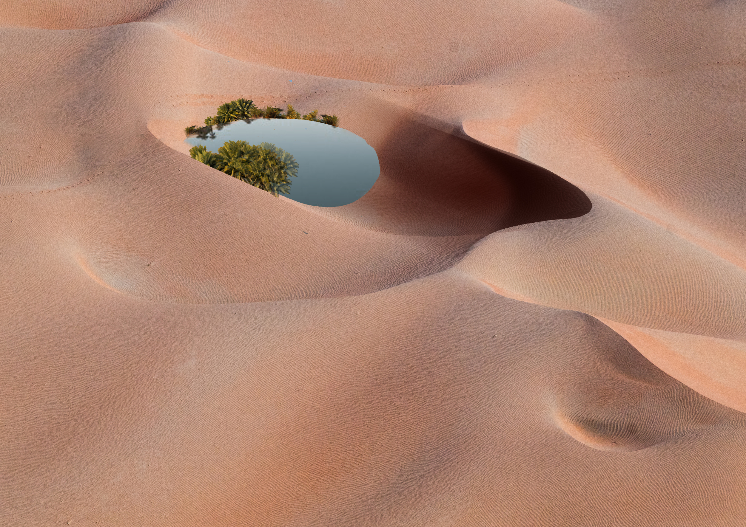 Architecture project // Curved Design with Biodegradable Wood in Desert ...