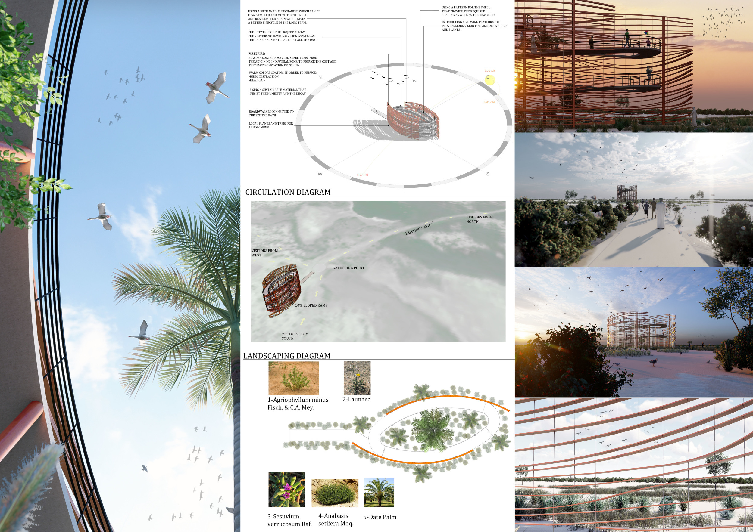 Architecture projects - mangrove // Buildner