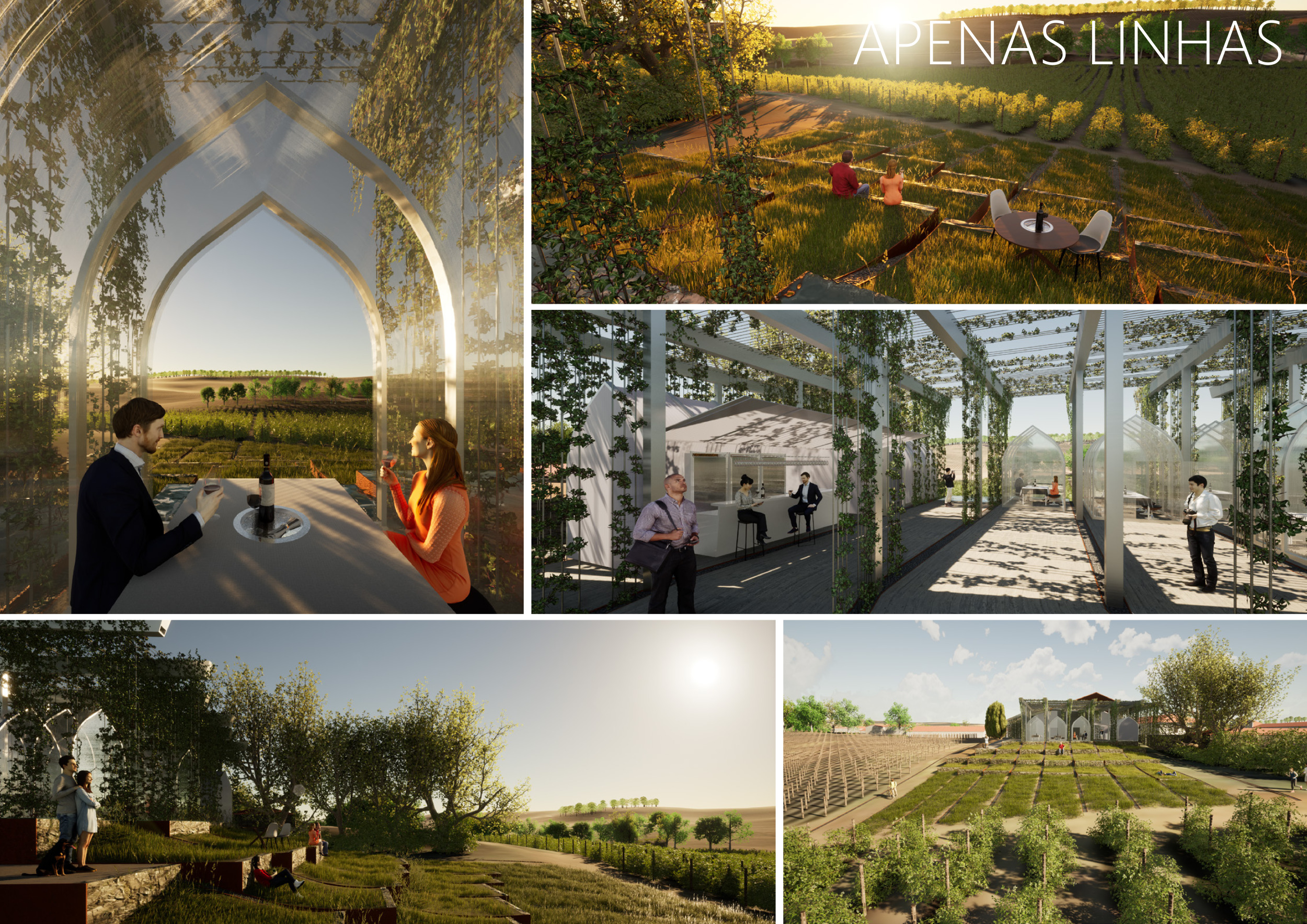 Architecture project // Vertical Trellises and Flexible Structures ...