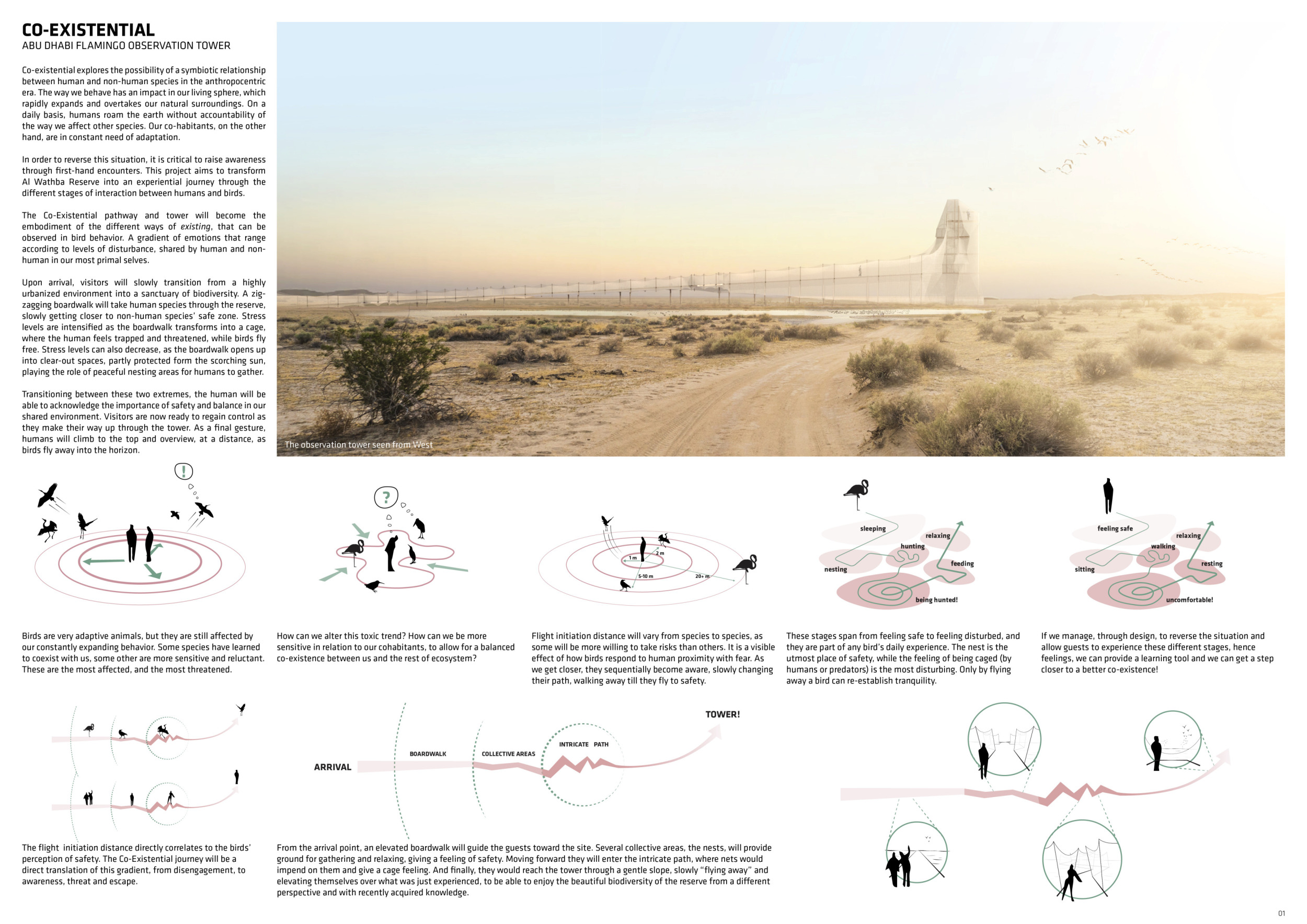 Architecture project // Embracing Avian Interactions Through Modular ...