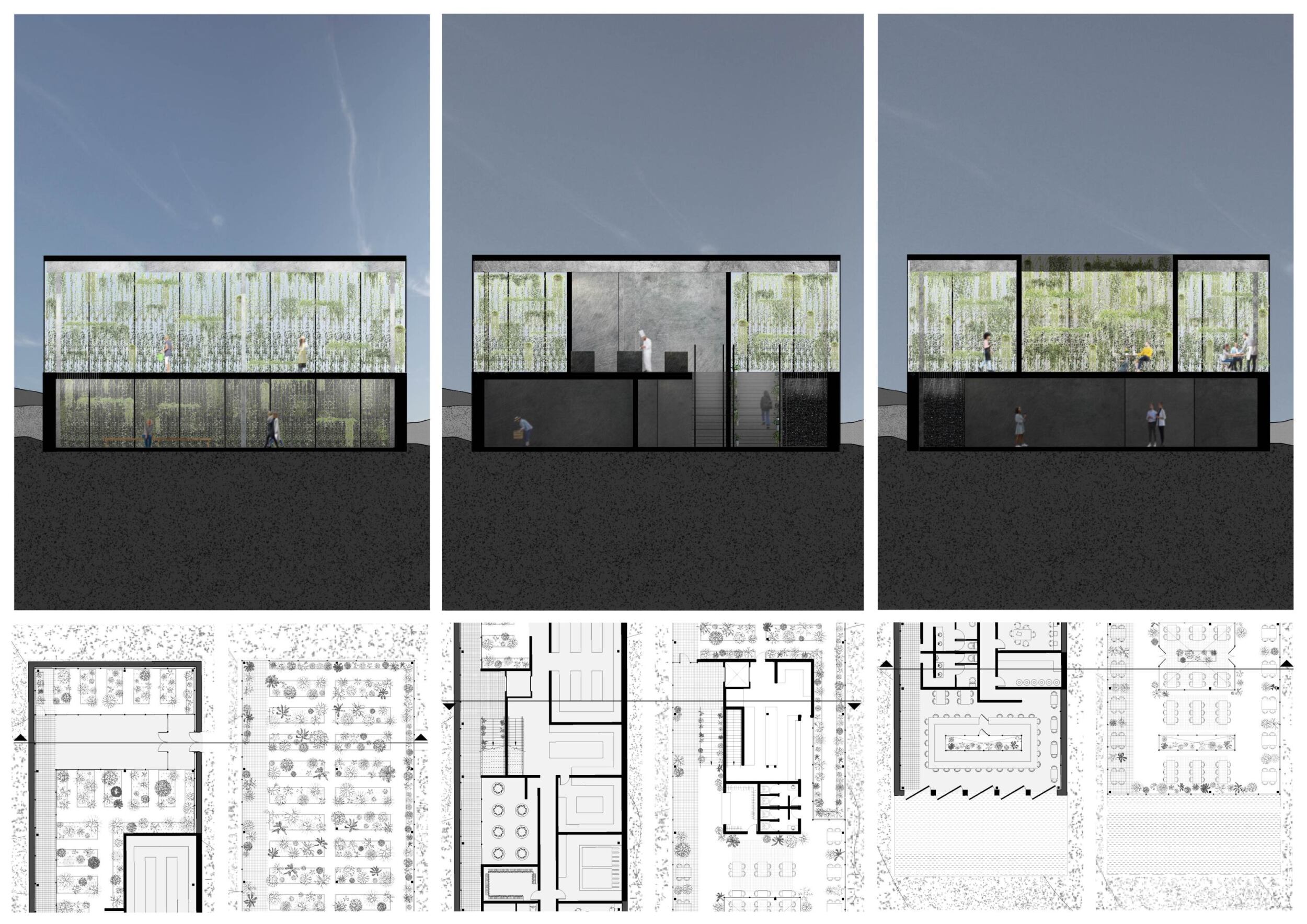 Architecture project // Enclosed Greenery in a Light-Filled Space for ...