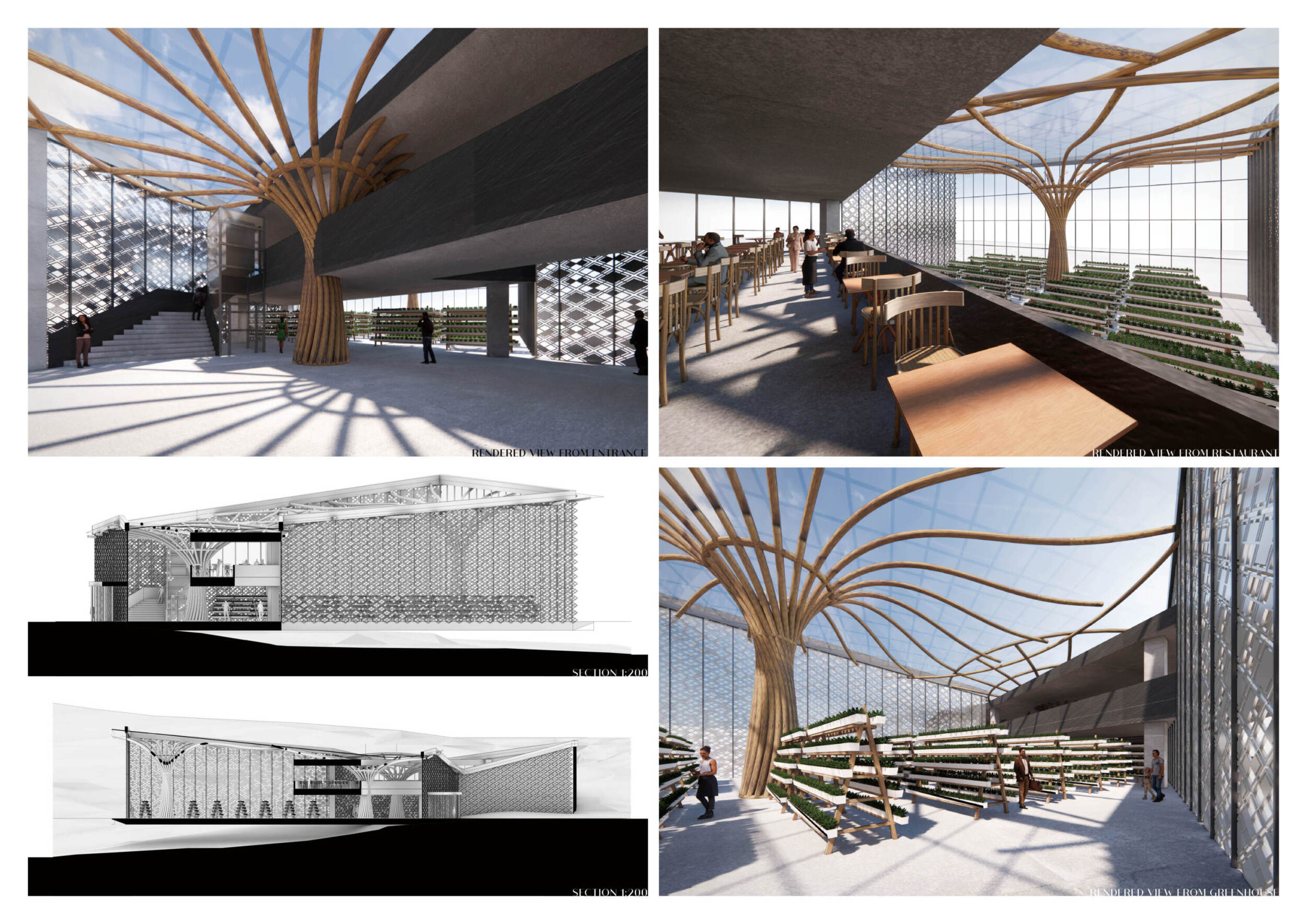 Architecture project // Diamond-Coated Greenhouse with Steel Cladding ...