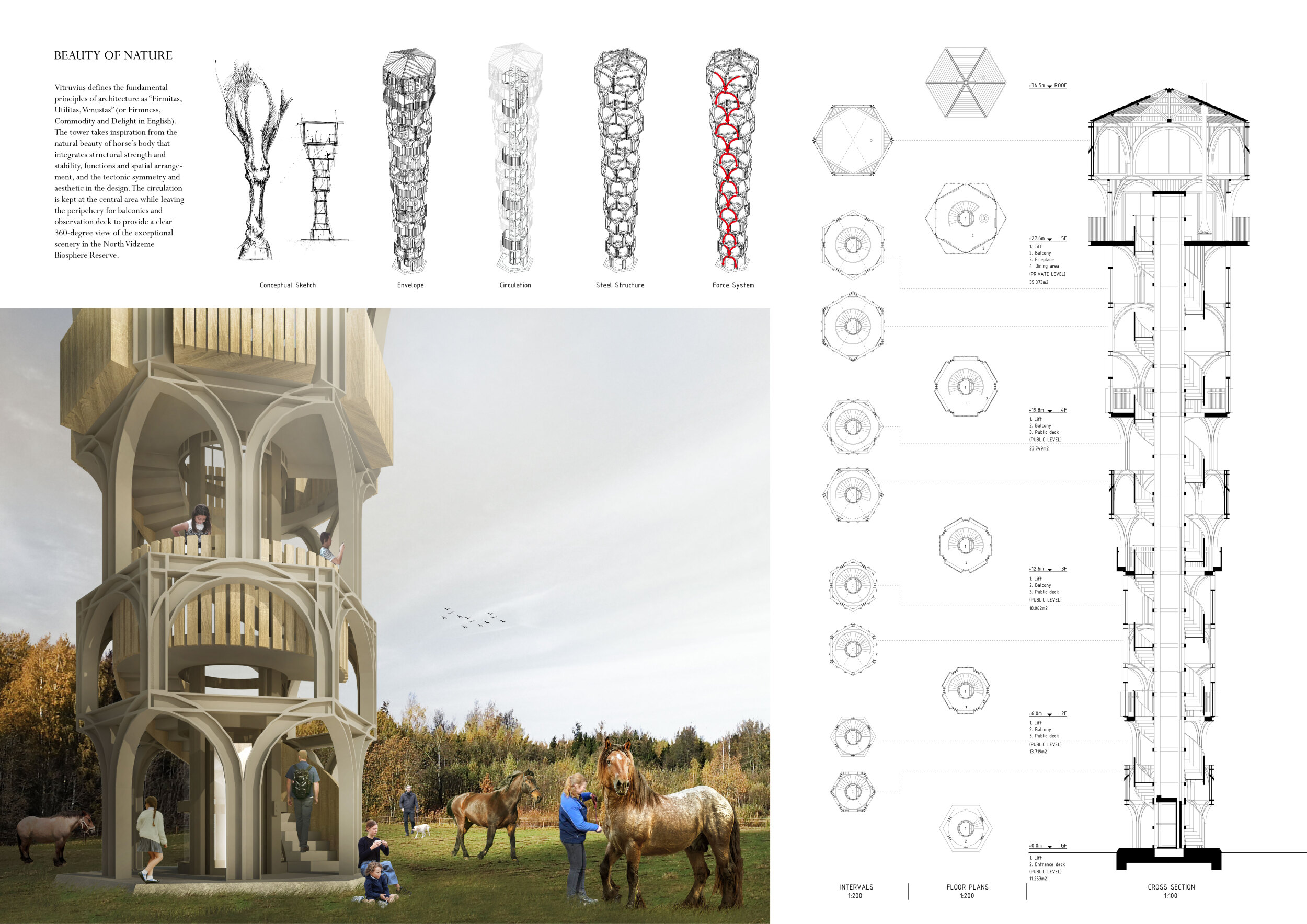 Architecture project // Vertical Growth Through Steel Frame and Wooden ...
