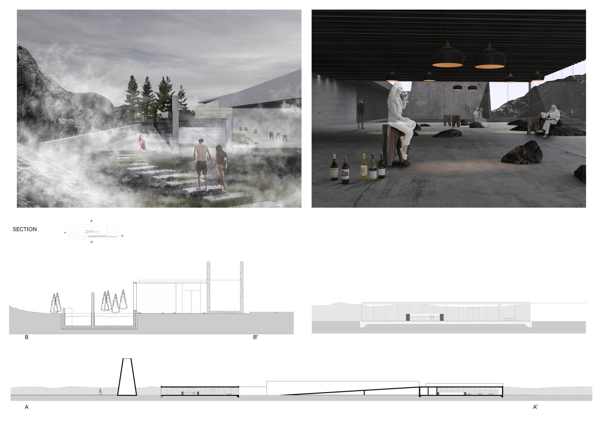 Architecture project // Reflective Surfaces and Camouflaged Design in a ...