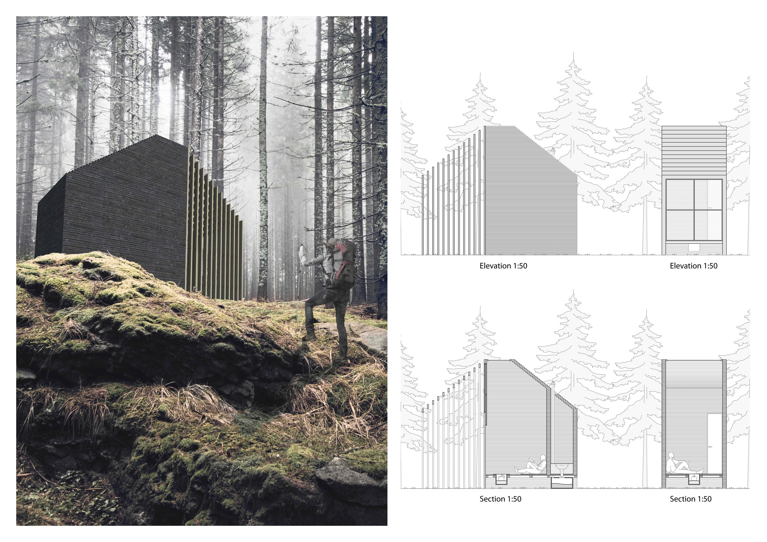 Architecture project // Charred Timber Retreat with Natural Light Flow