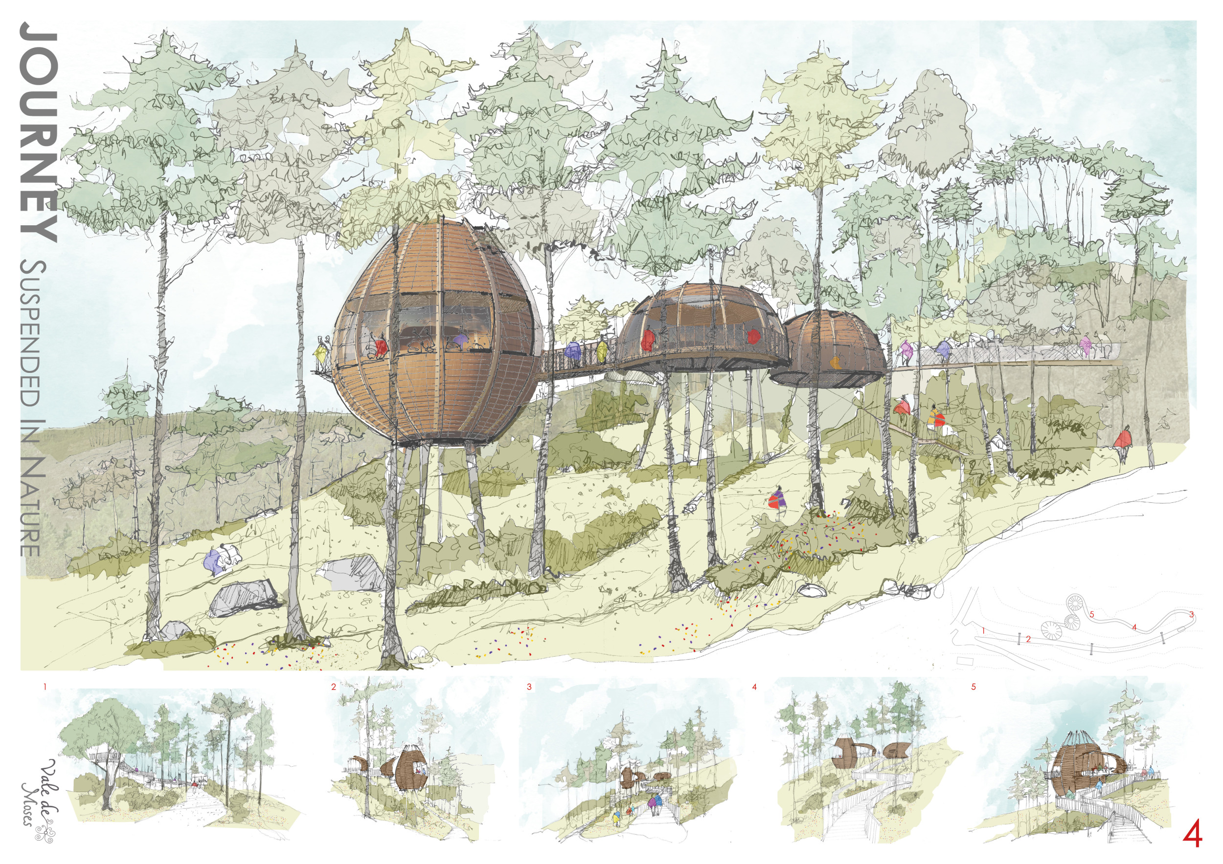 Architecture project // Timber Walkway Integrated with Native Flora for ...