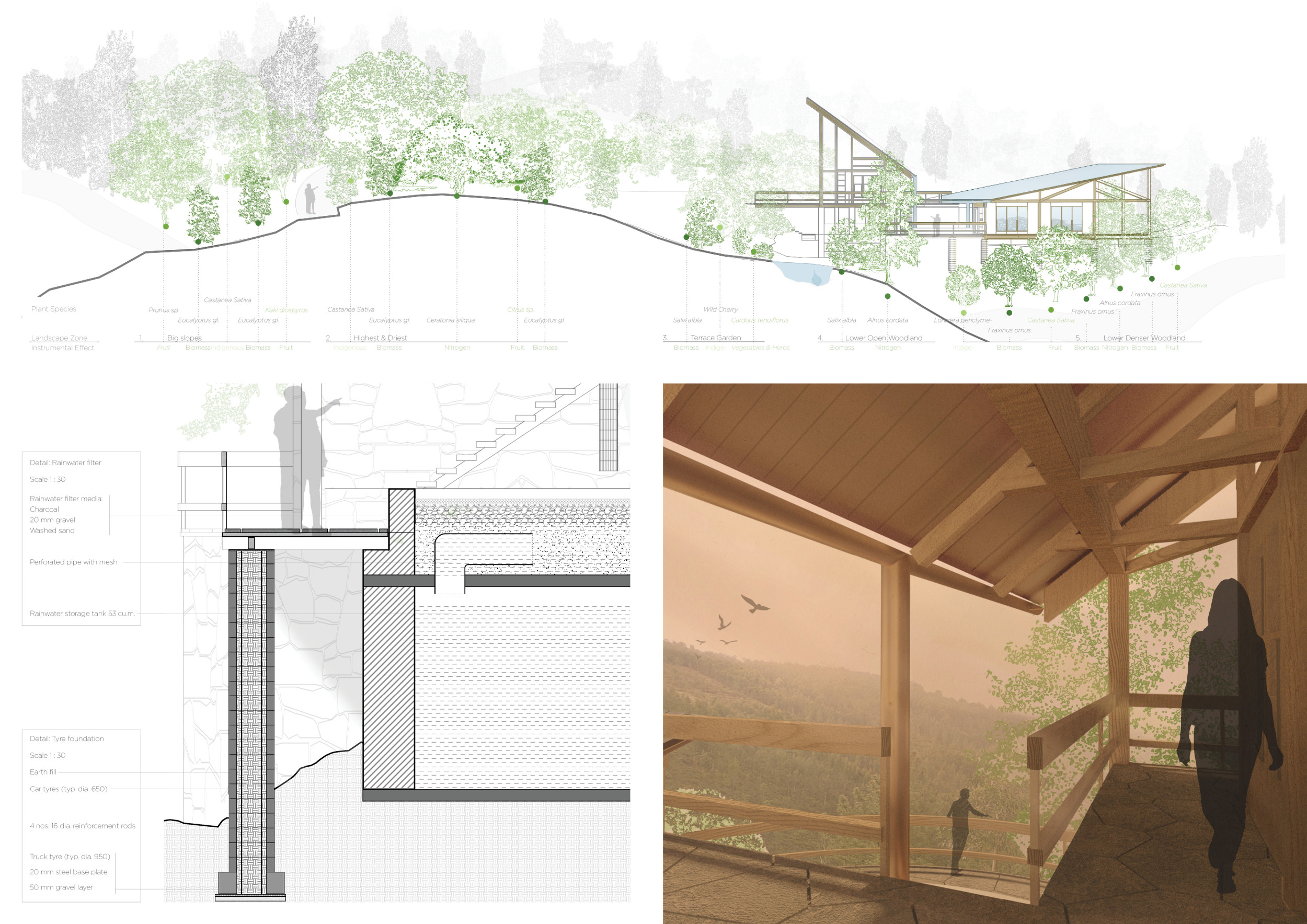 Architecture project // Helophyte-Driven Greywater System in a ...