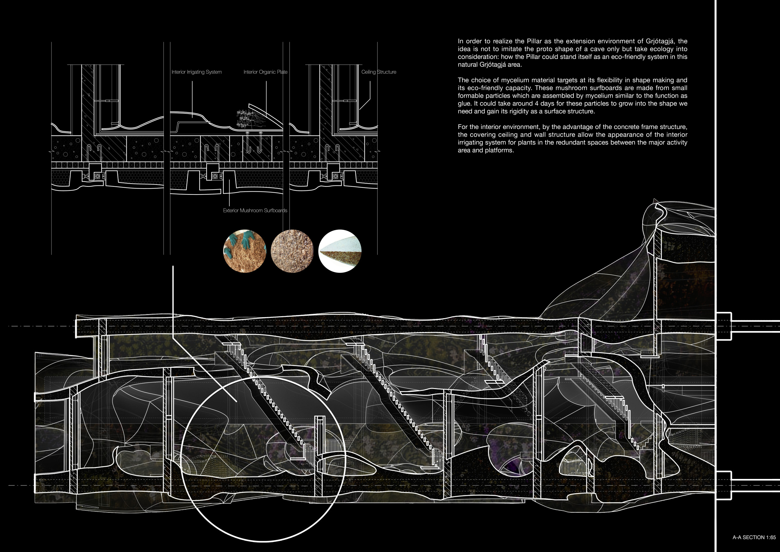 Architecture project // Mycelium Structure Enhances Visitor Interaction ...