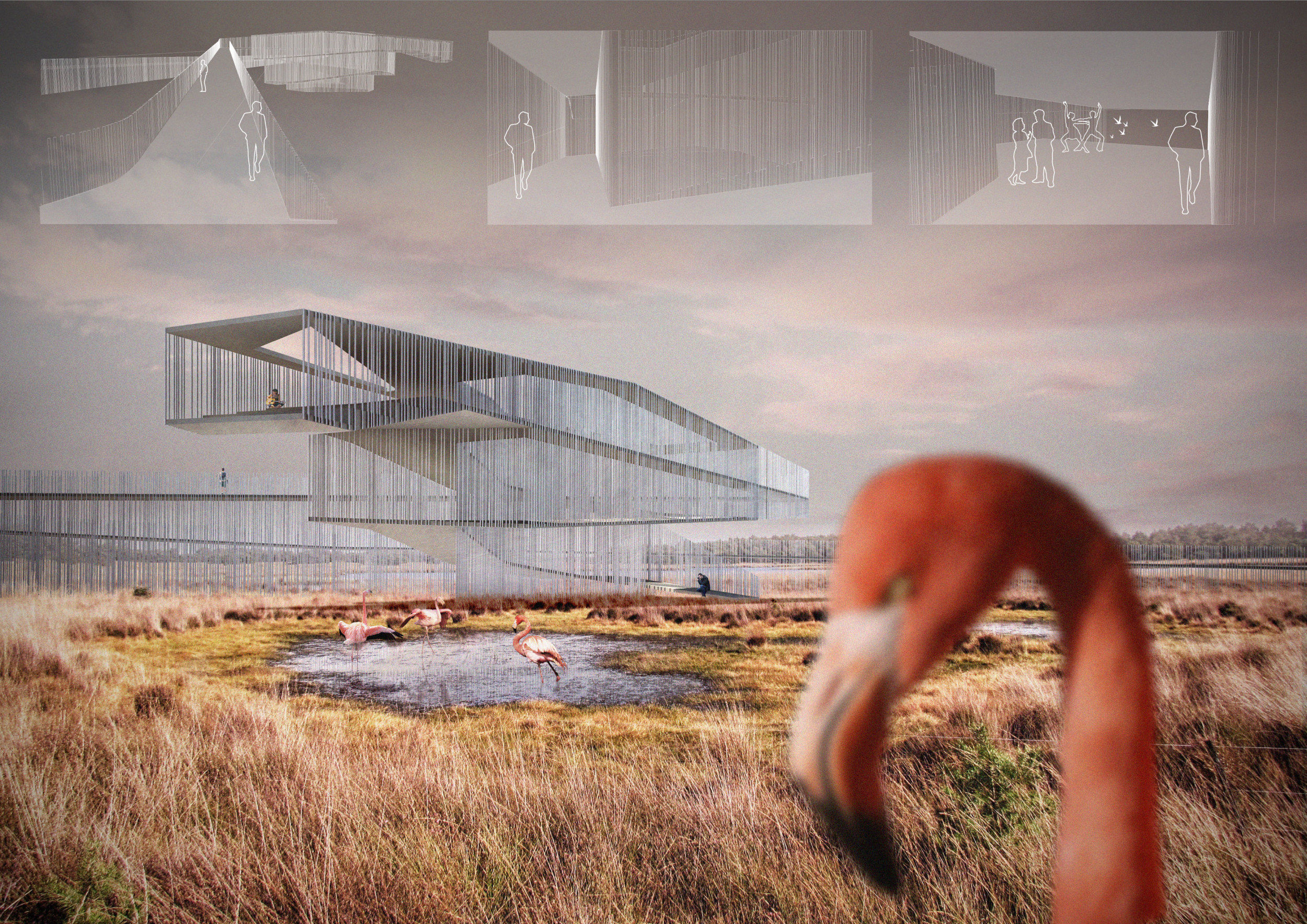 Architecture project // Curvilinear Observation Point Emphasizing ...