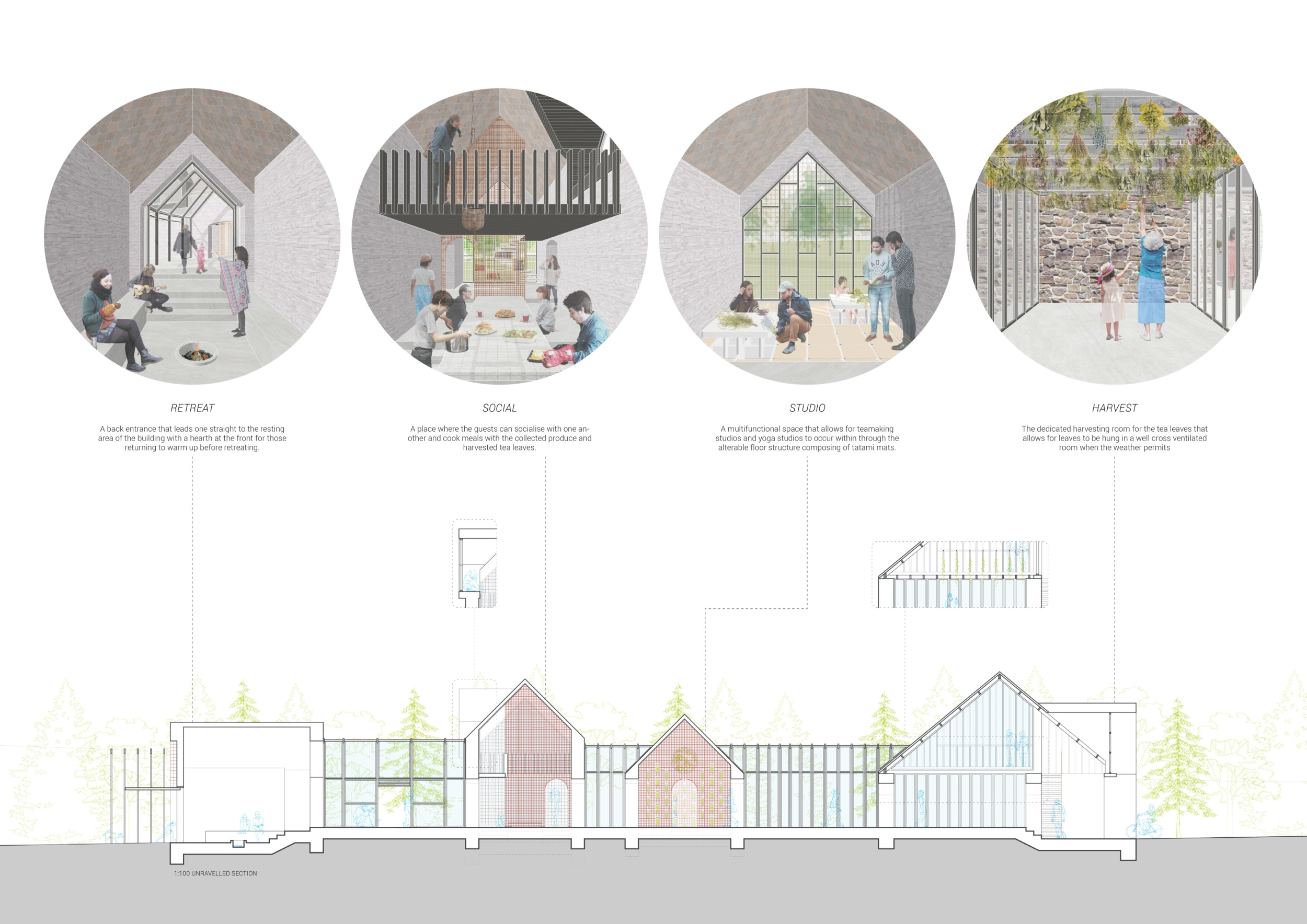Architecture project // Biophilic Facade with Steel Mesh and Clear ...