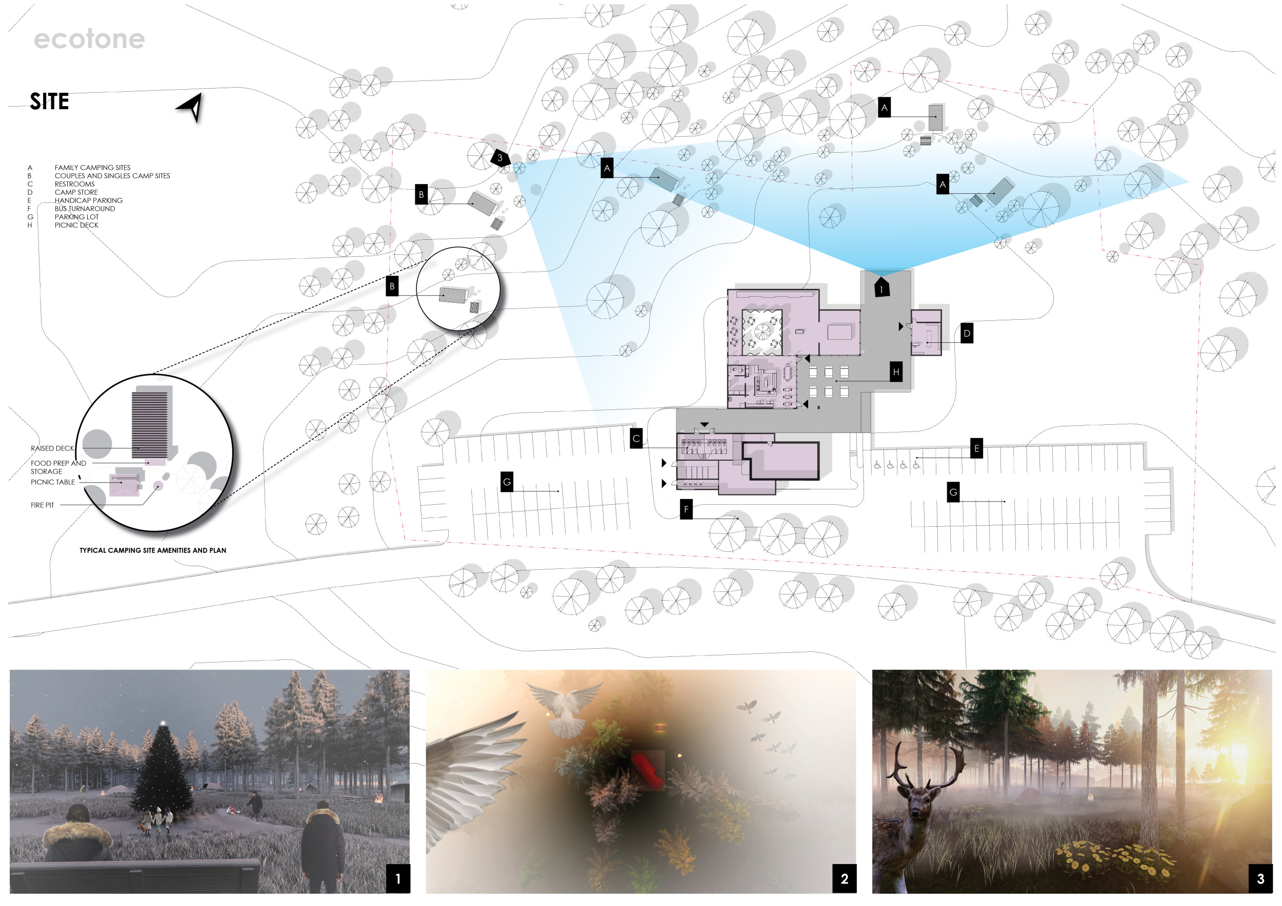 Architecture project // Living Roof Integration with Untreated Pine in ...