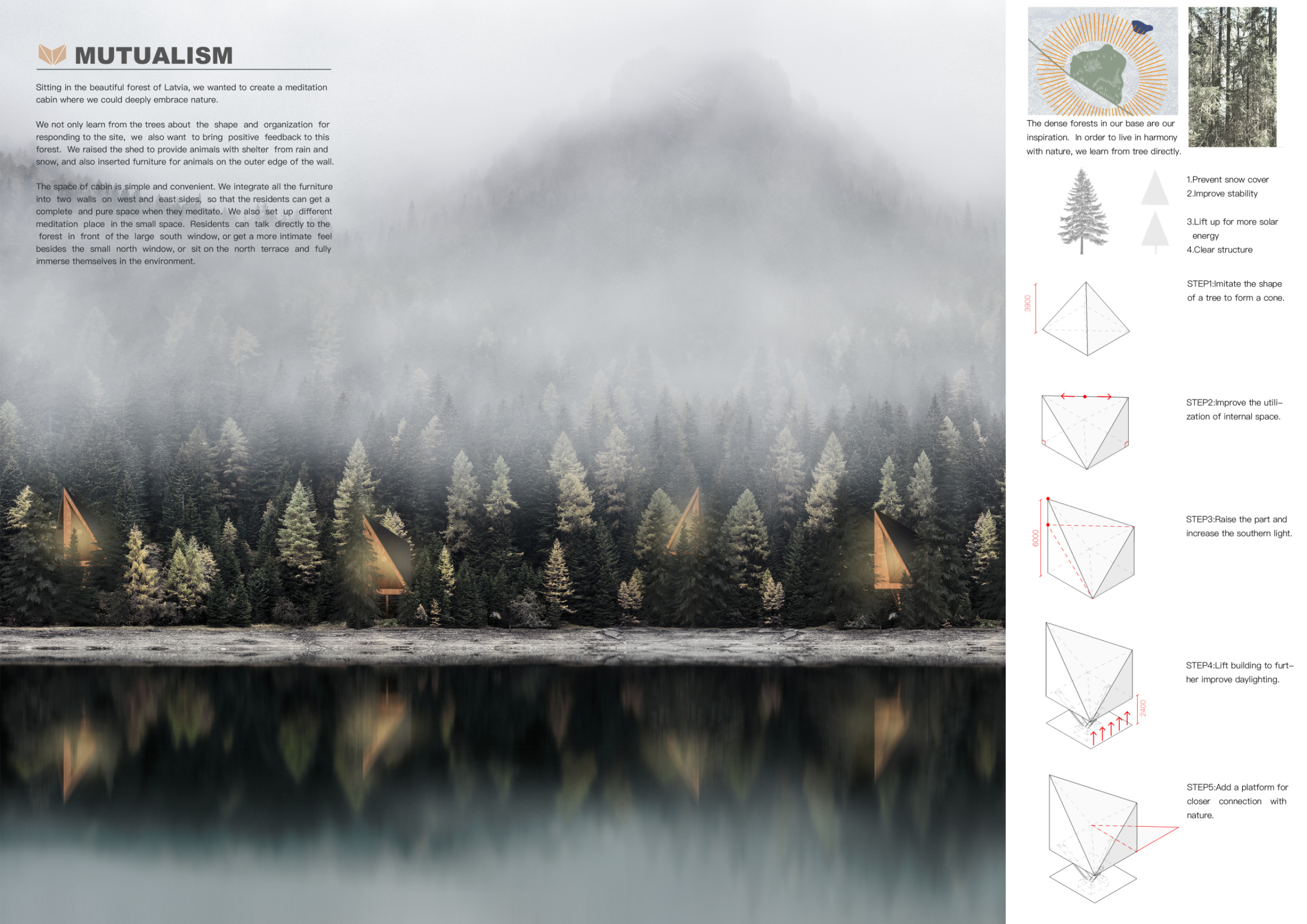 Architecture project // Pine Structures Elevated over Nature with ...