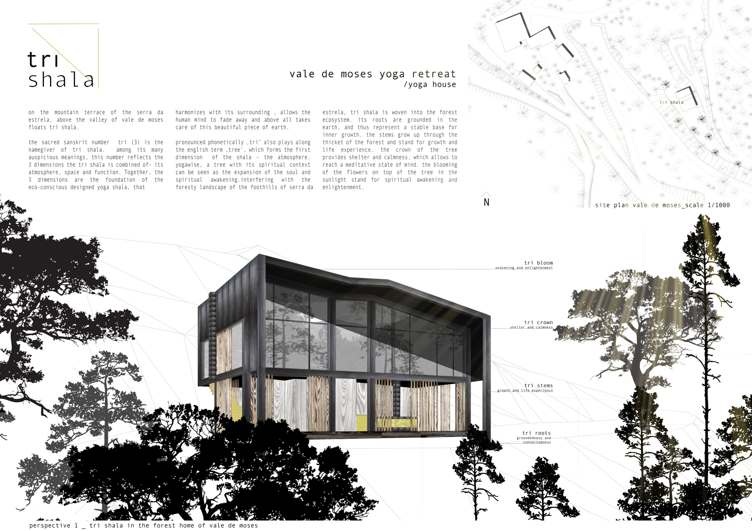 Architecture project // Burnt Pine Canopy Overlooking a Serene Vale for ...